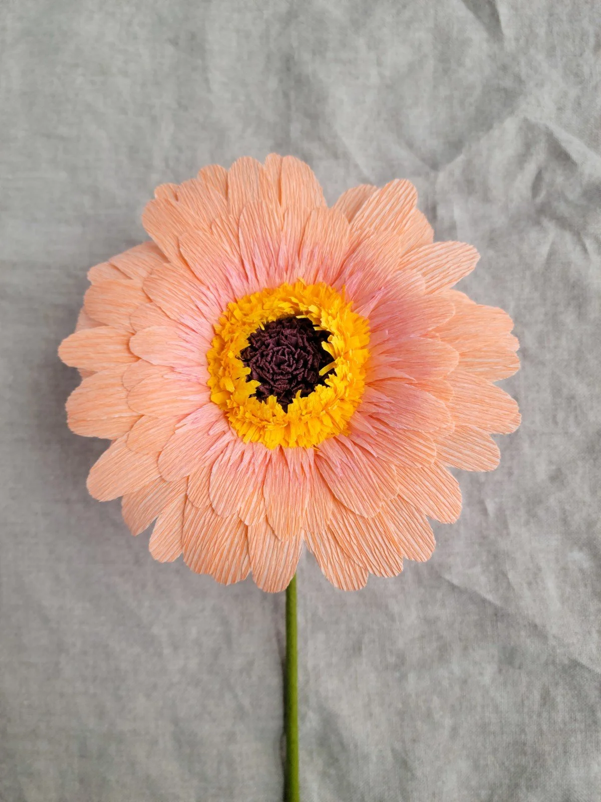Orange Gerber Daisy
