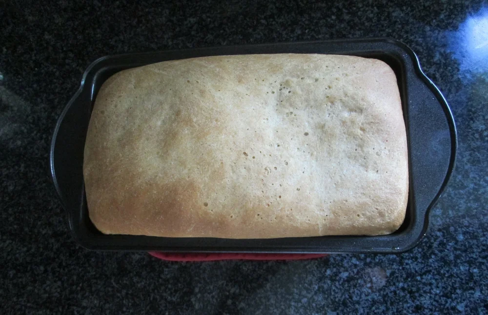 High Altitude Wheat Bread — Simply Altitude