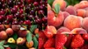 Growing Fruit at High Altitude: Trees & Berries | Simply Altitude ...