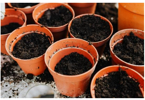 Growing Fruit at High Altitude: Trees & Berries | Simply Altitude ...