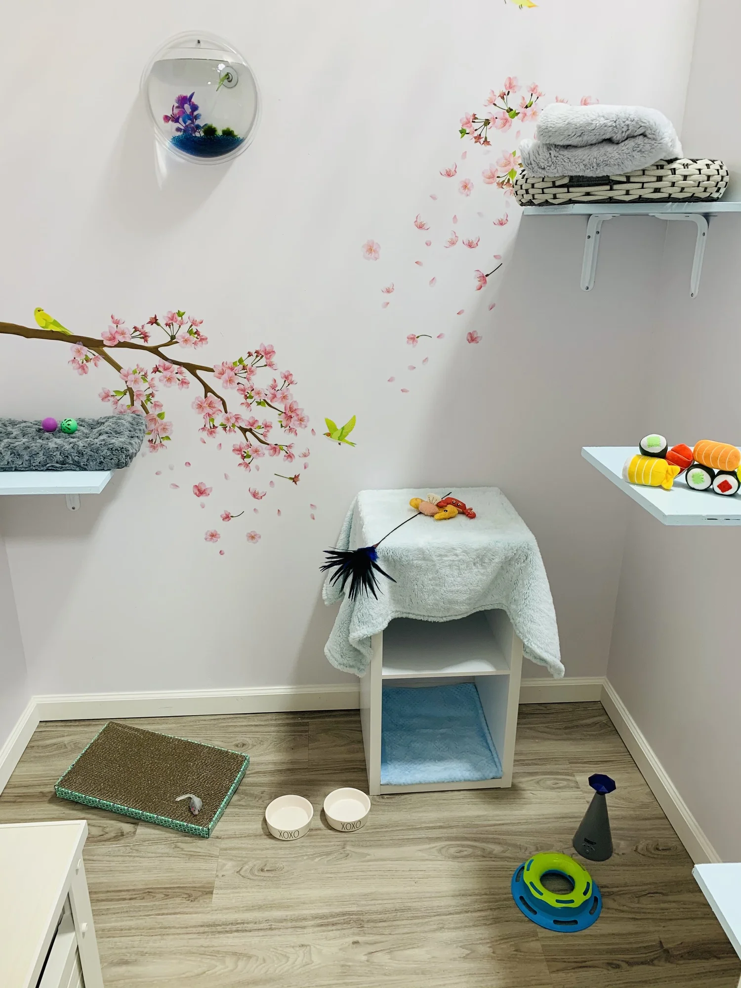 Cat Hotel Suites — Pounce Hawaii