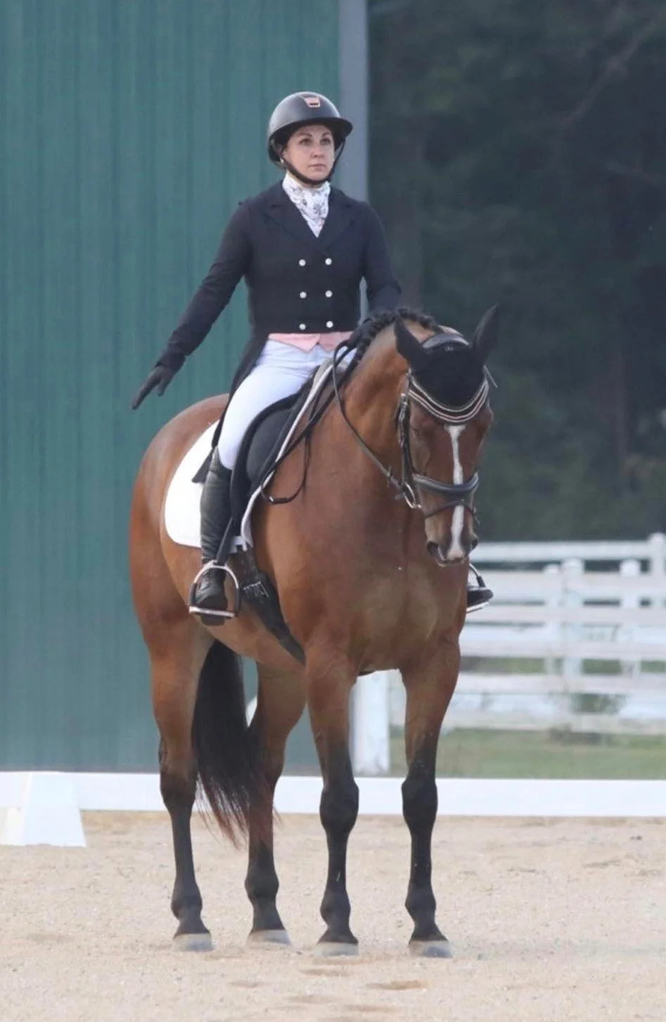 Award Voting (Copy) (Copy) — The Eventing Association of Michigan