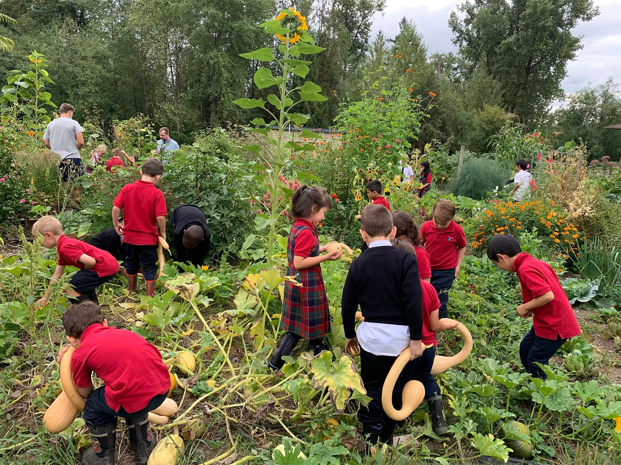 The King's School, Langley BC