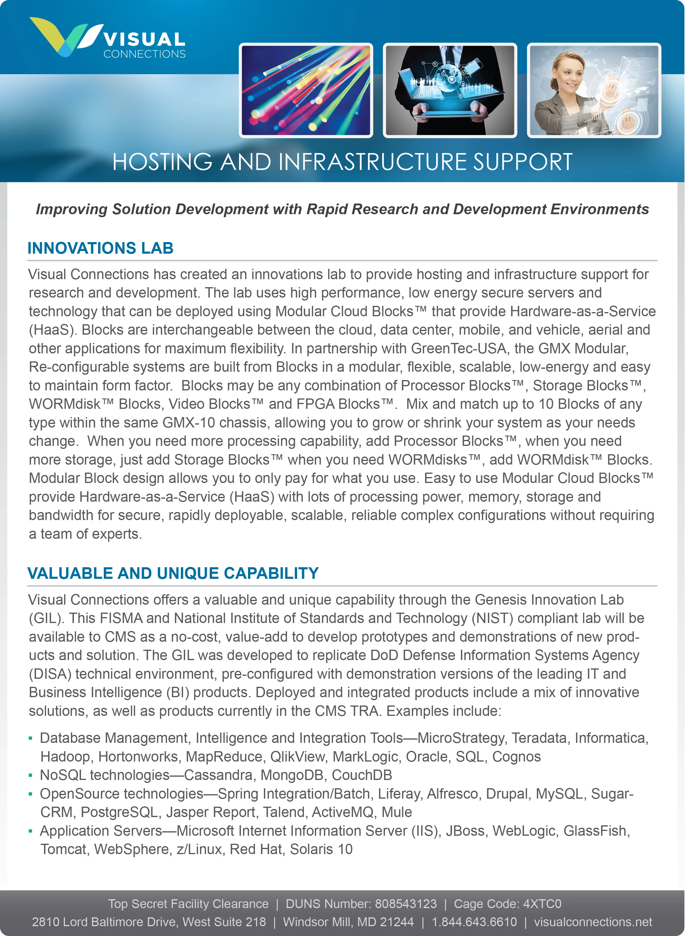 Information Technology Capability Map — Visual Connections