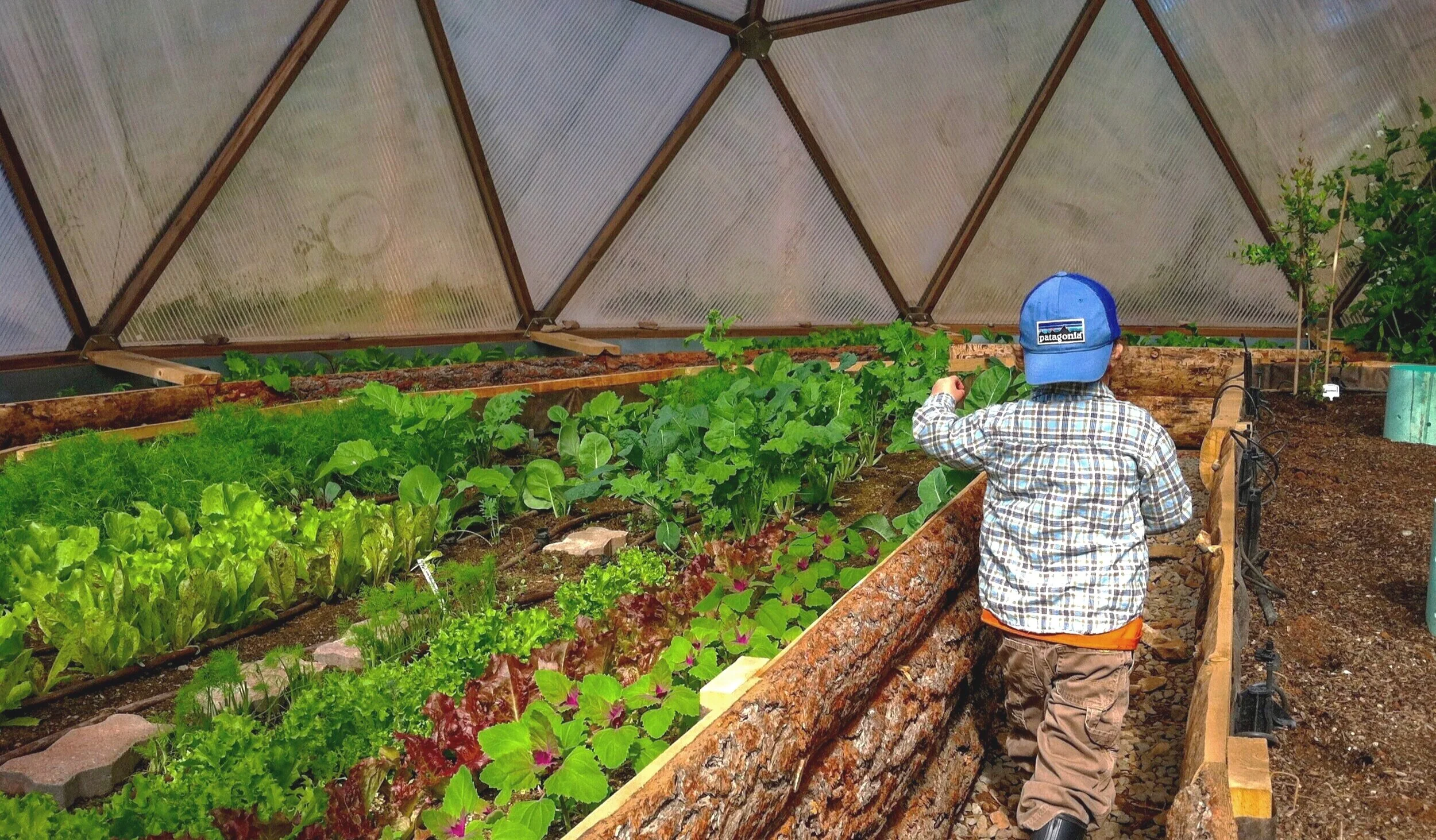 A Dome for Your Home — Arctic Acres - Geodesic Growing Dome Greenhouses
