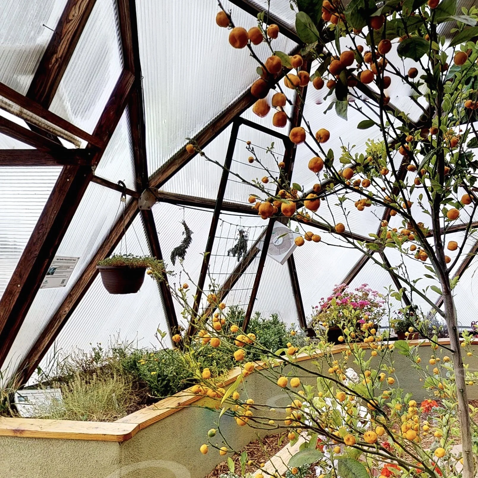 Virtual Online Growing Dome Greenhouse Tour — Arctic Acres - Geodesic ...