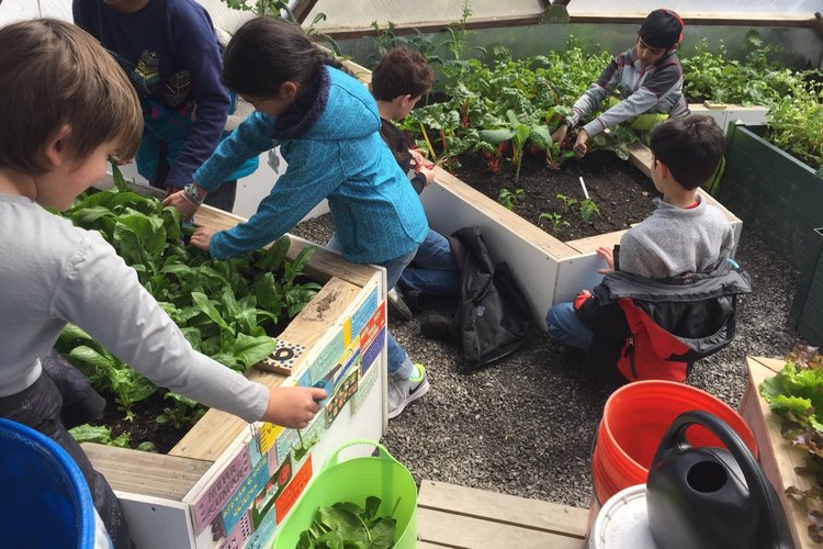 Arctic Acres Community Growth Program — Arctic Acres - Geodesic Growing ...