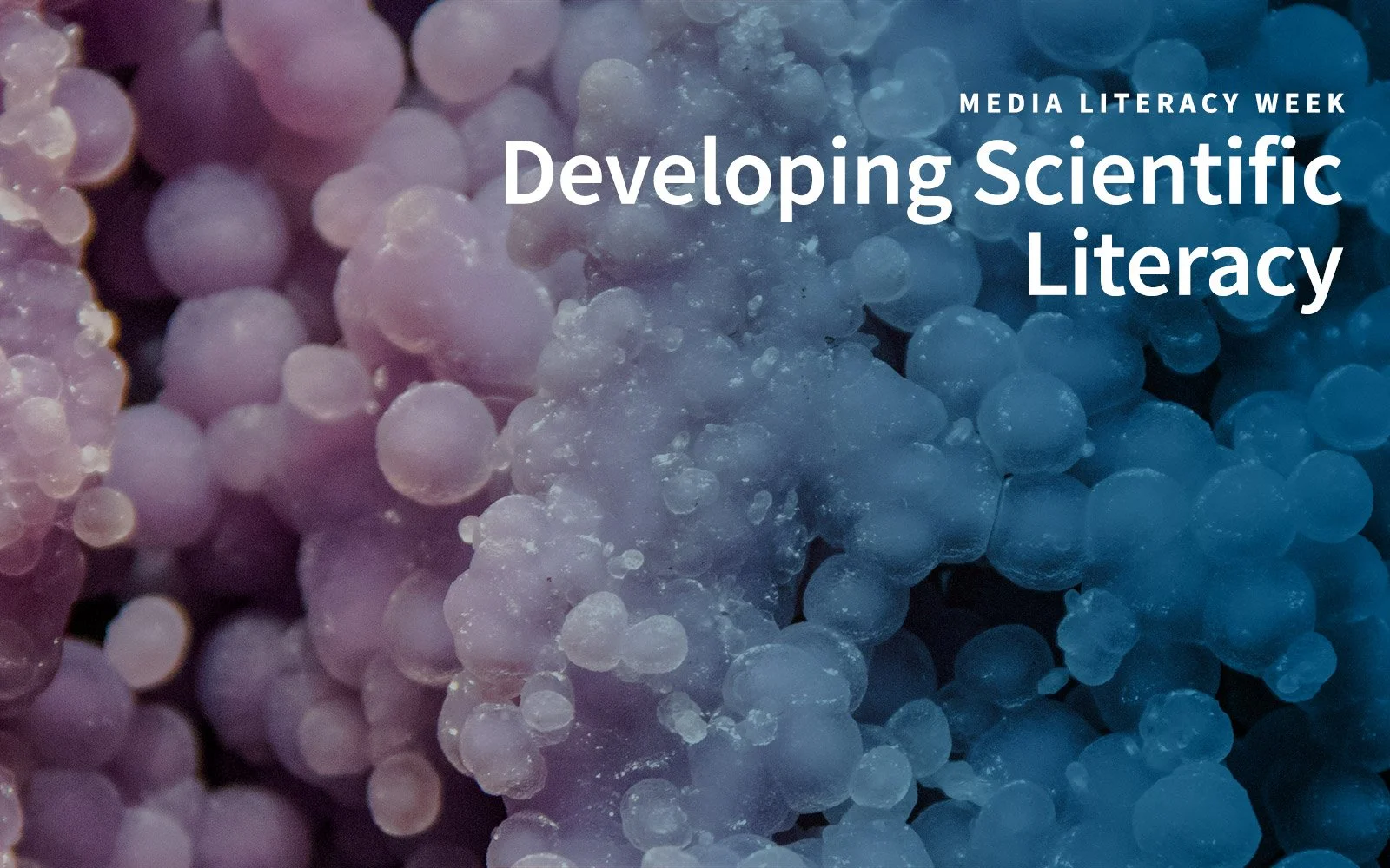 Edwin | Spotlight: Media Literacy Week