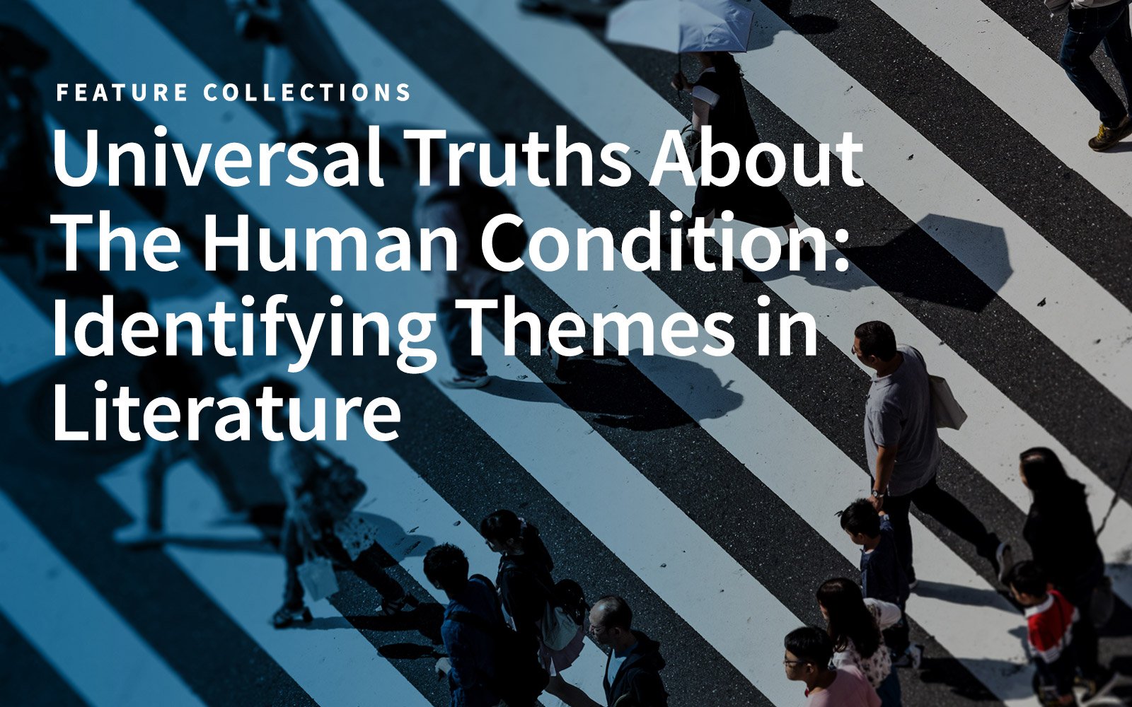 Edwin | Monthly Theme: January