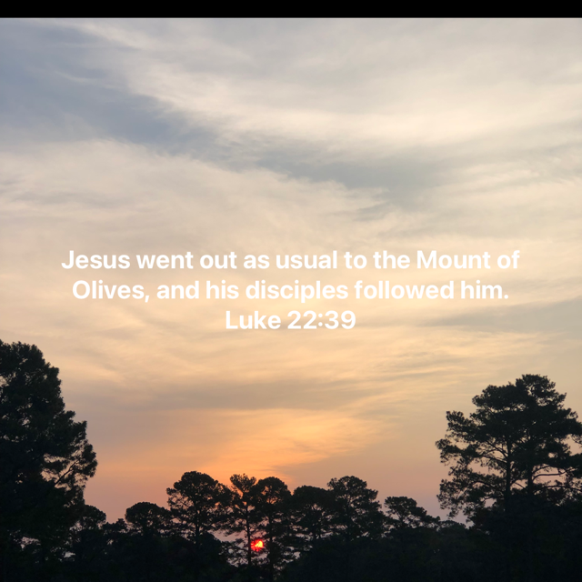 Jesus' Prayer Life — Randy L. Allen