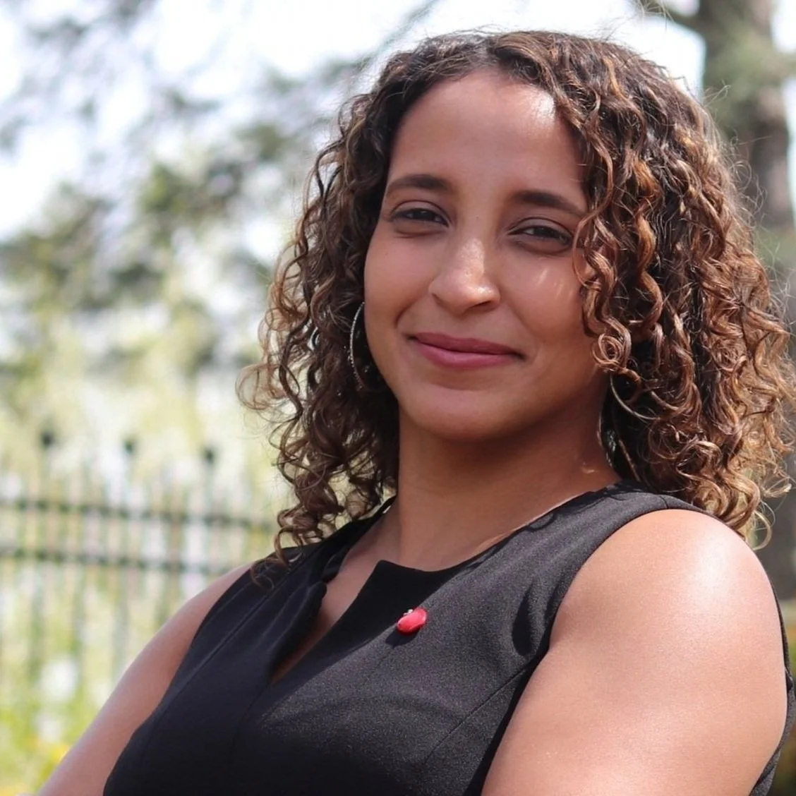 Board of Directors — New York State Parking & Transportation Association