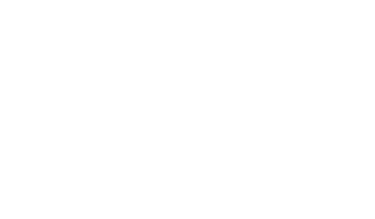 Fifth Arrow SF