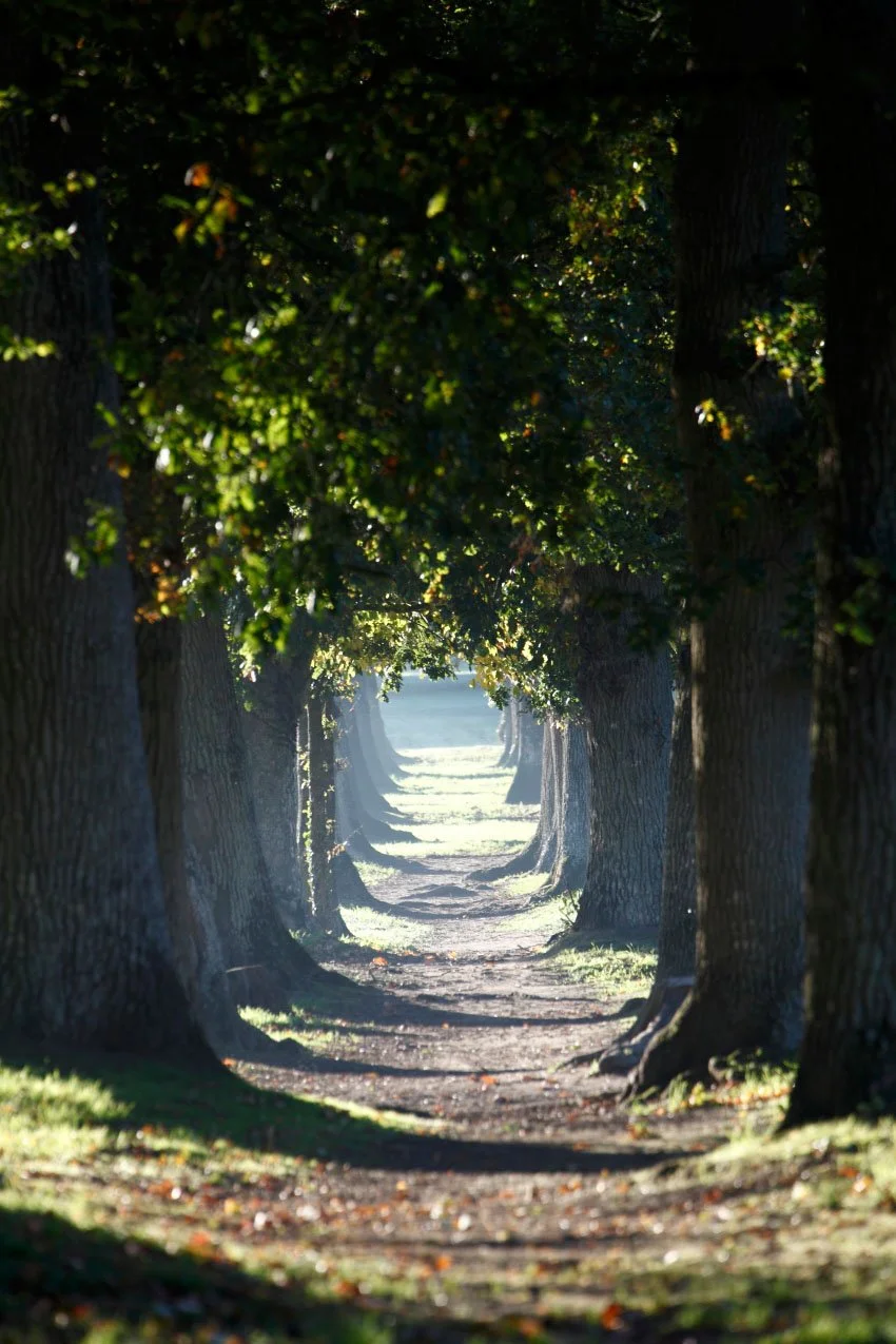 Castle & Park — COMBOURG