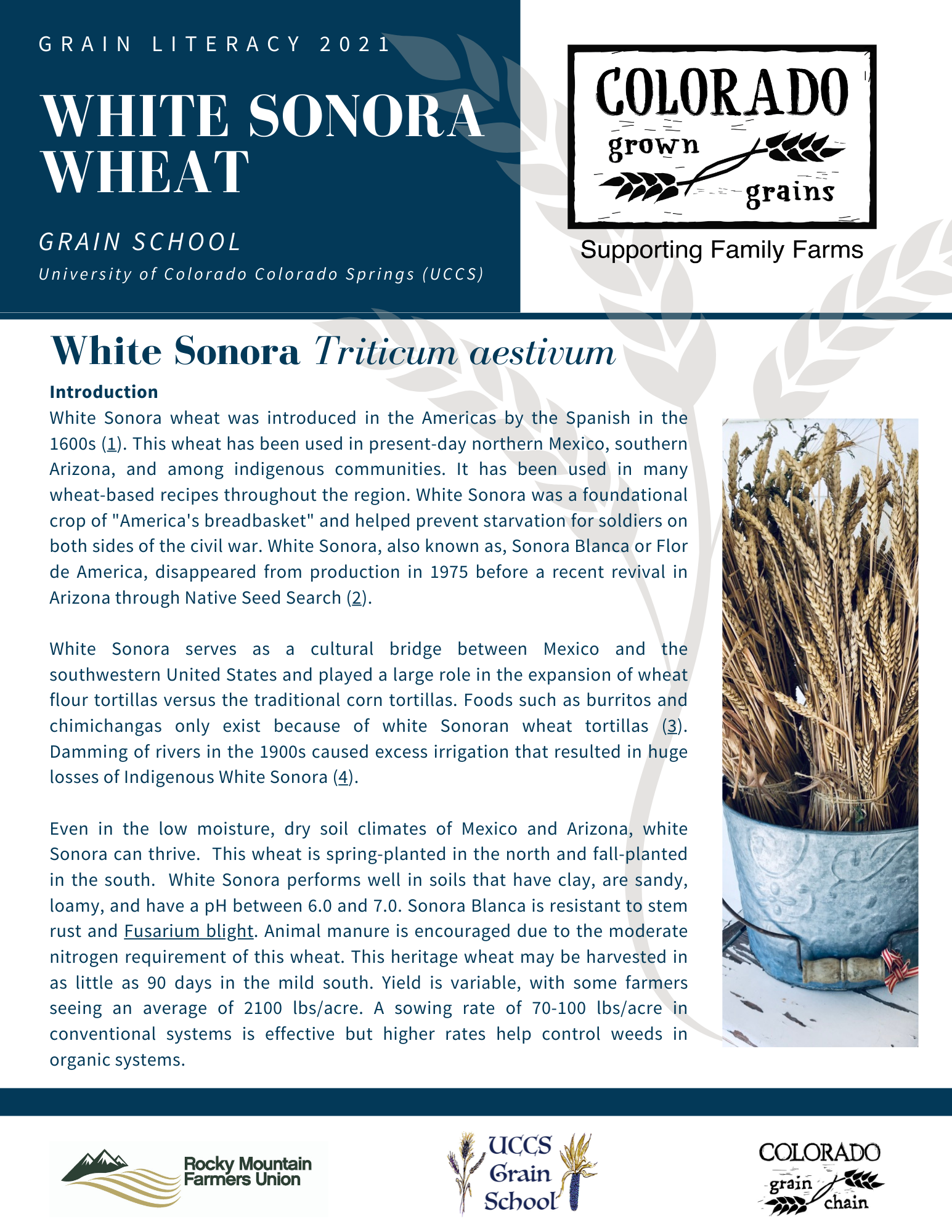 Grain Library — Colorado Grain Chain