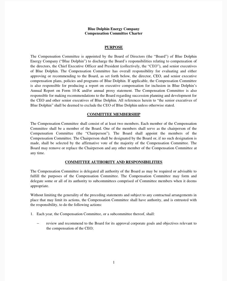 Governance — BLUE DOLPHIN ENERGY COMPANY