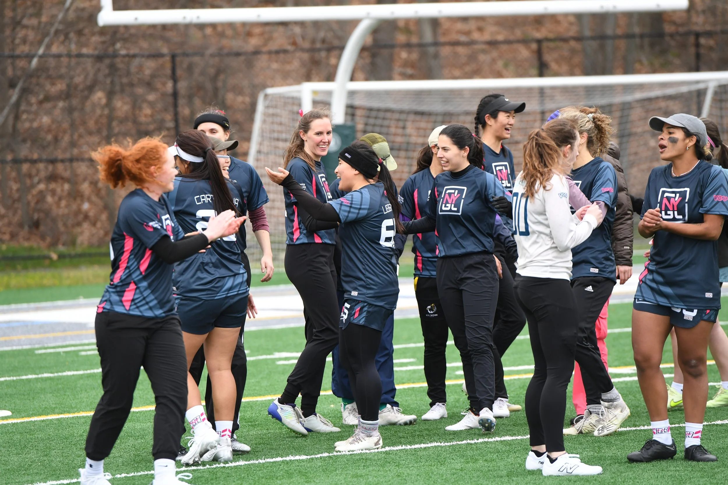 New York Gridlock Ultimate