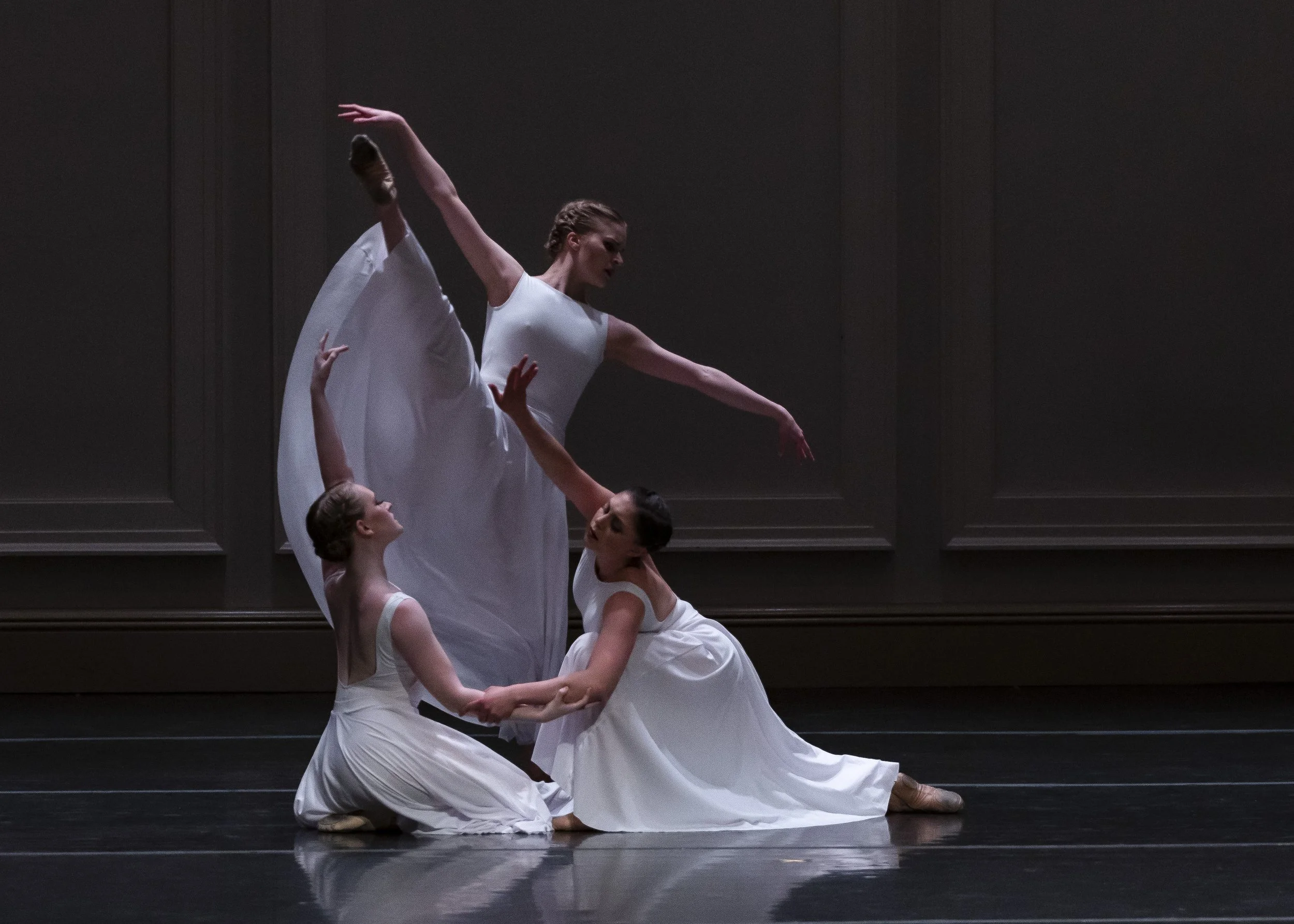 Dancers — Deos Contemporary Ballet