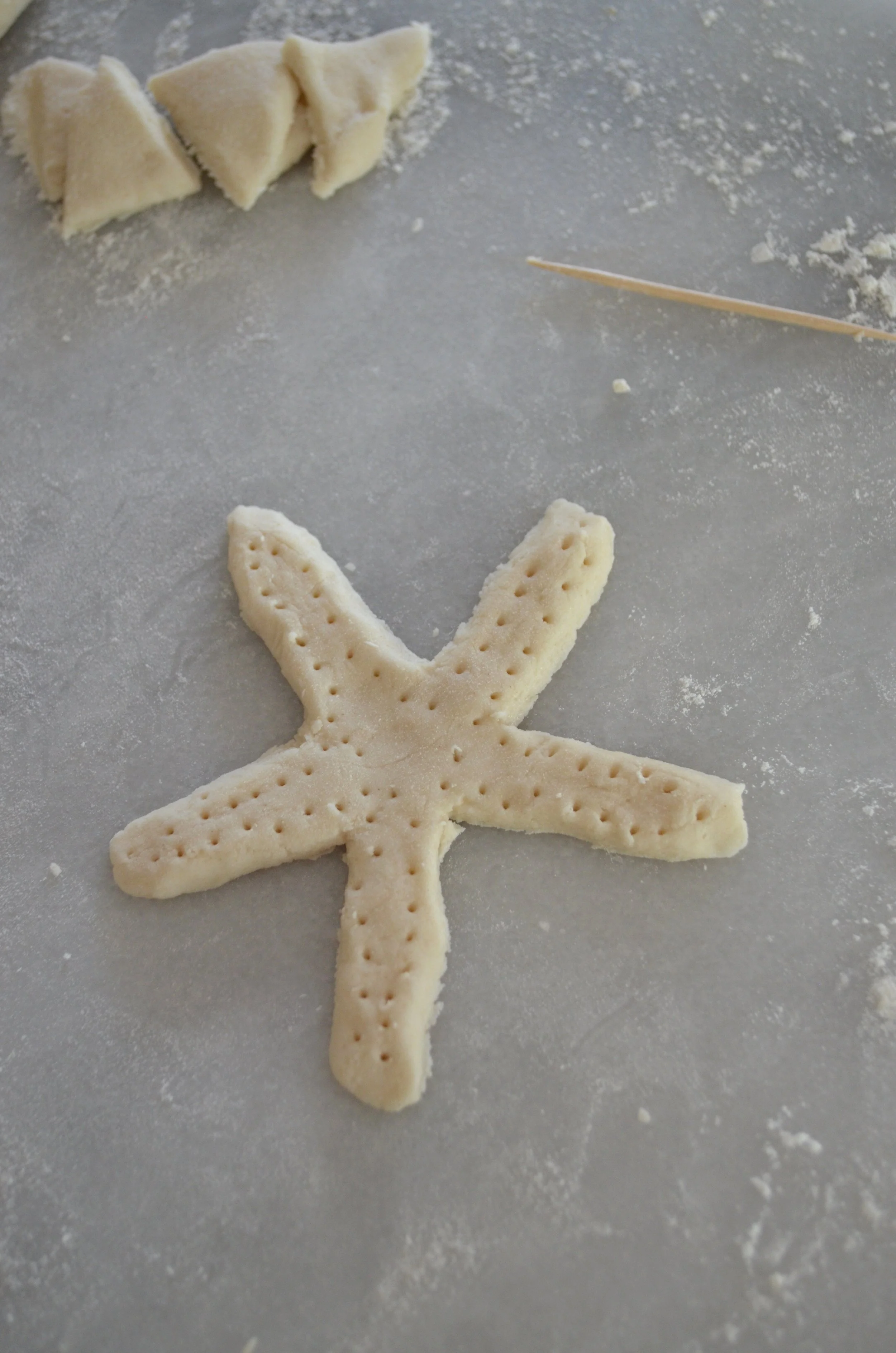 DIY Starfish Craft - From Scratch with Maria Provenzano