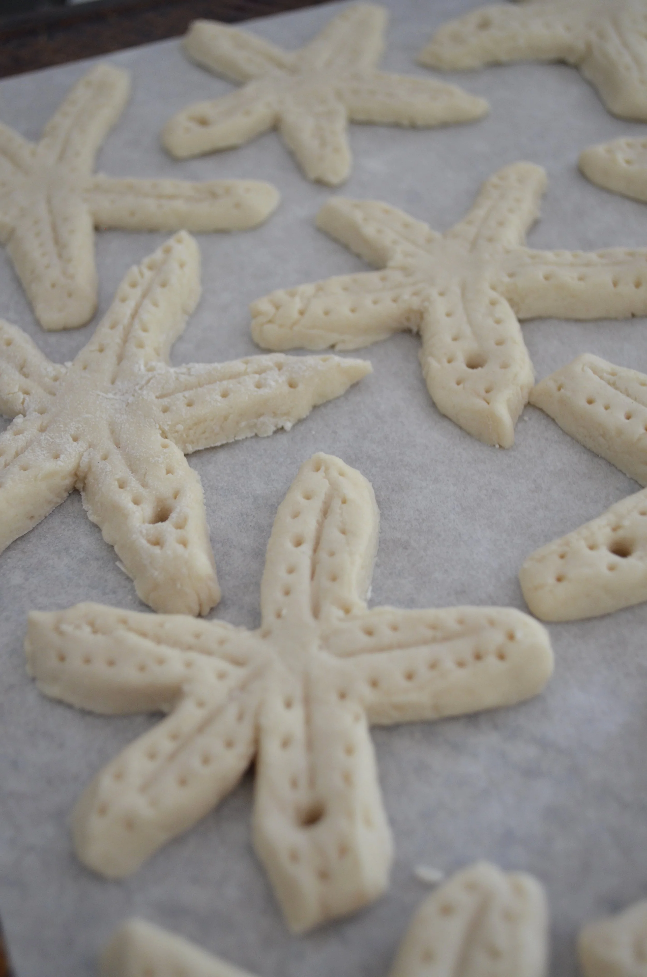 DIY Starfish Craft - From Scratch with Maria Provenzano