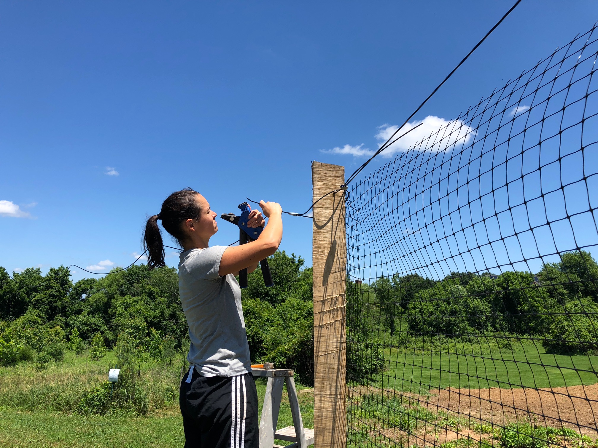 Gallery — Sandy Spring Gardens