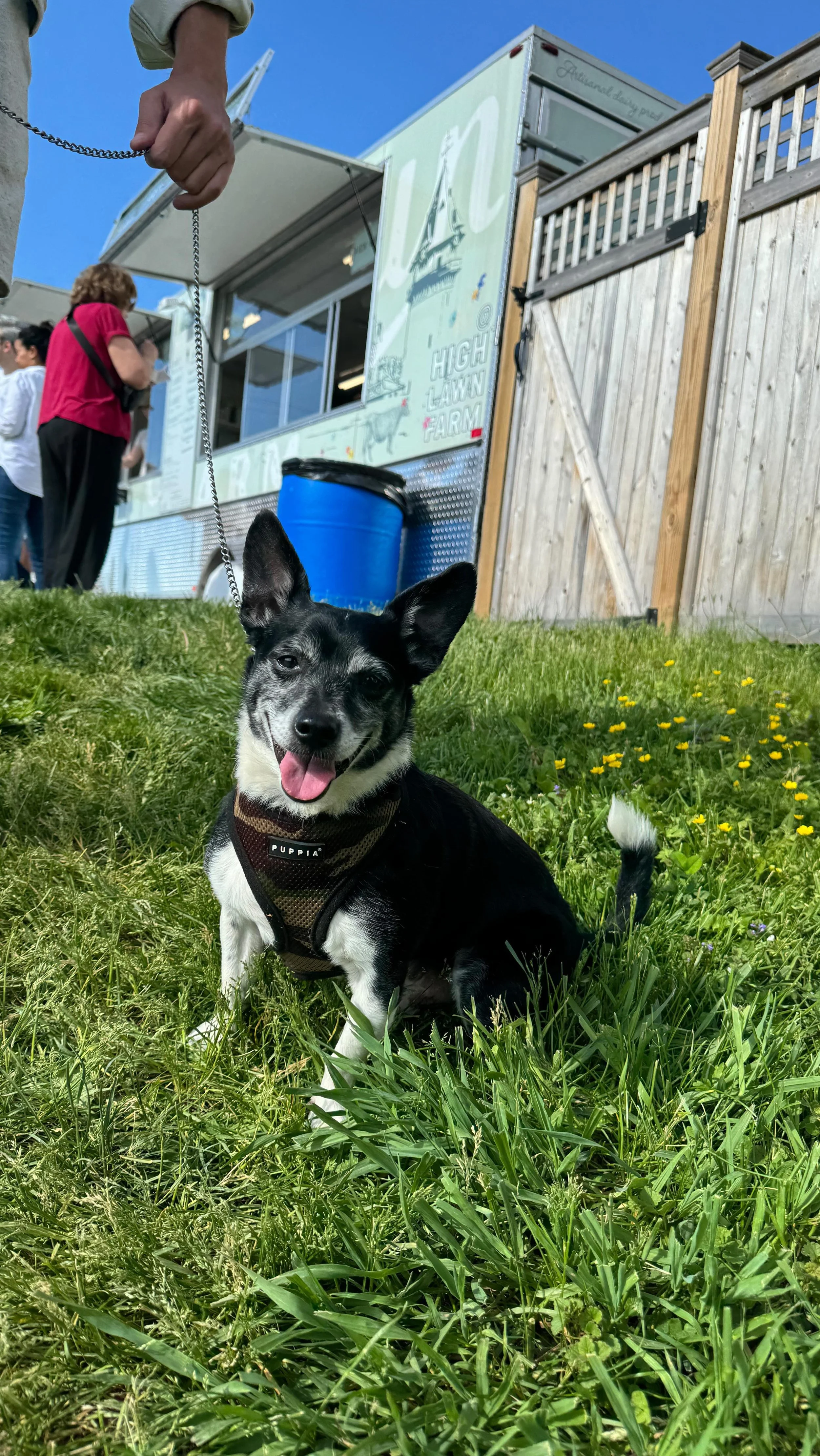 The Farmstead Creamery — High Lawn Farm