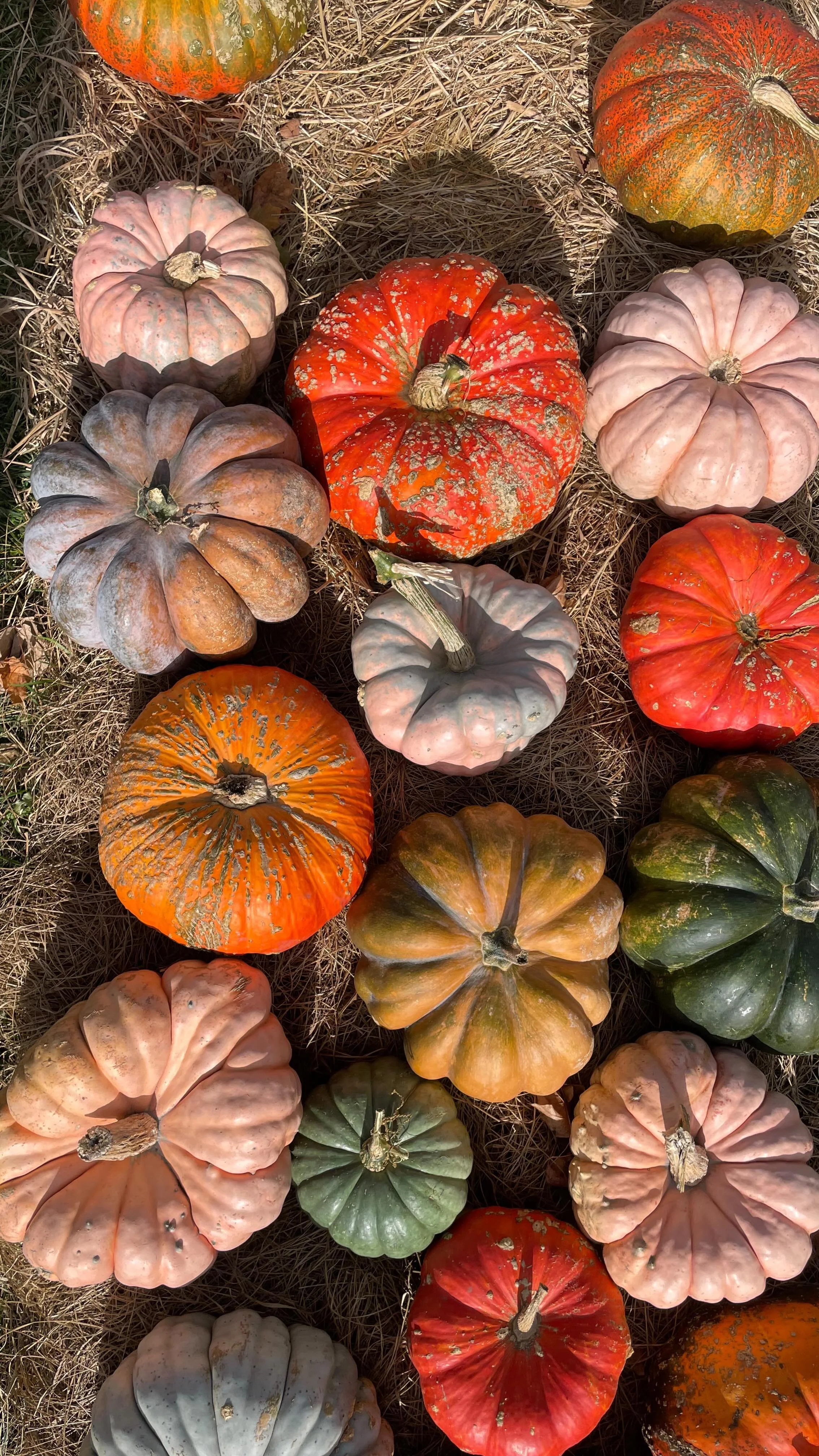 The Farmstead Creamery — High Lawn Farm