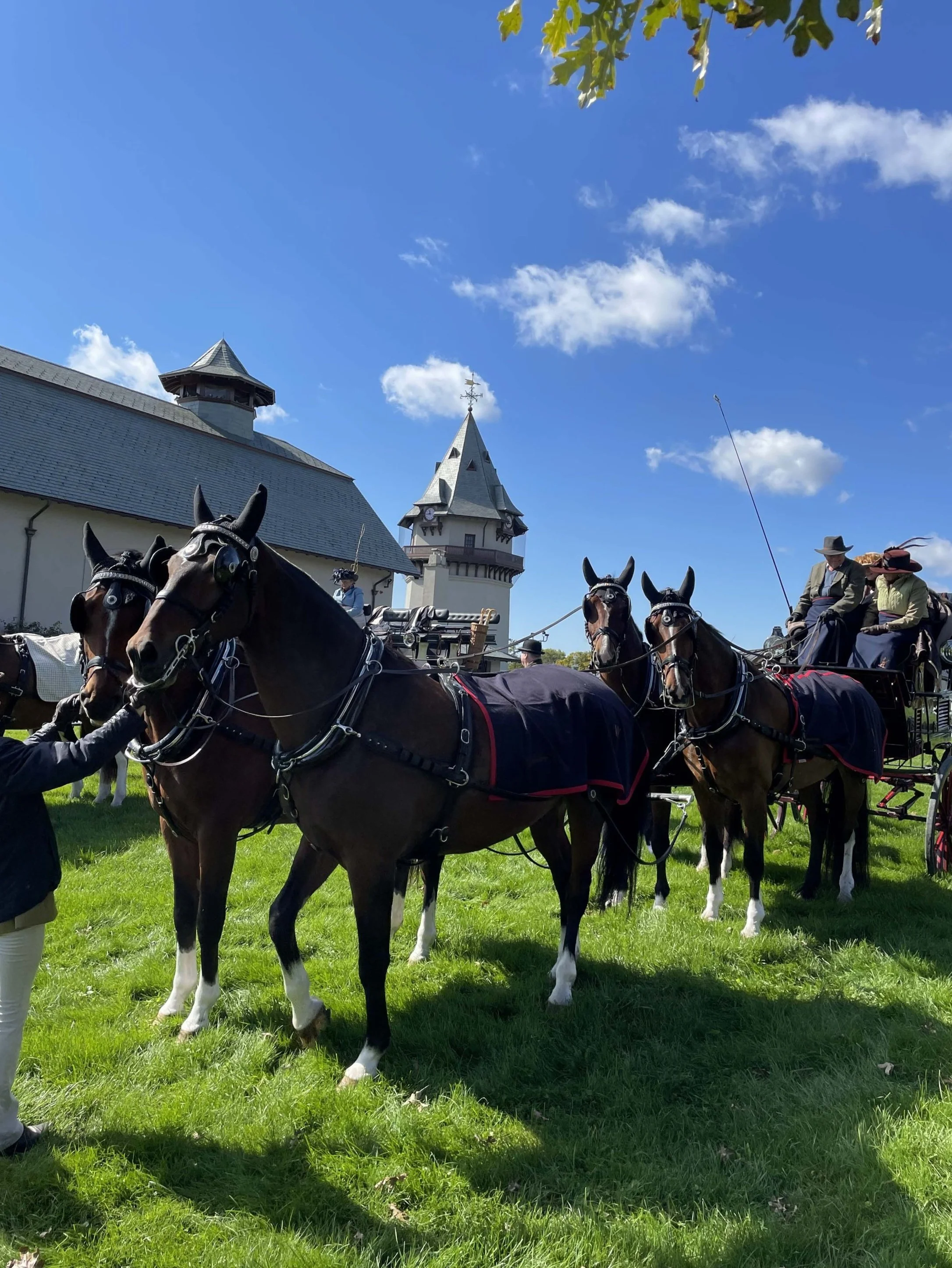 The Pumpkin Patch — High Lawn Farm