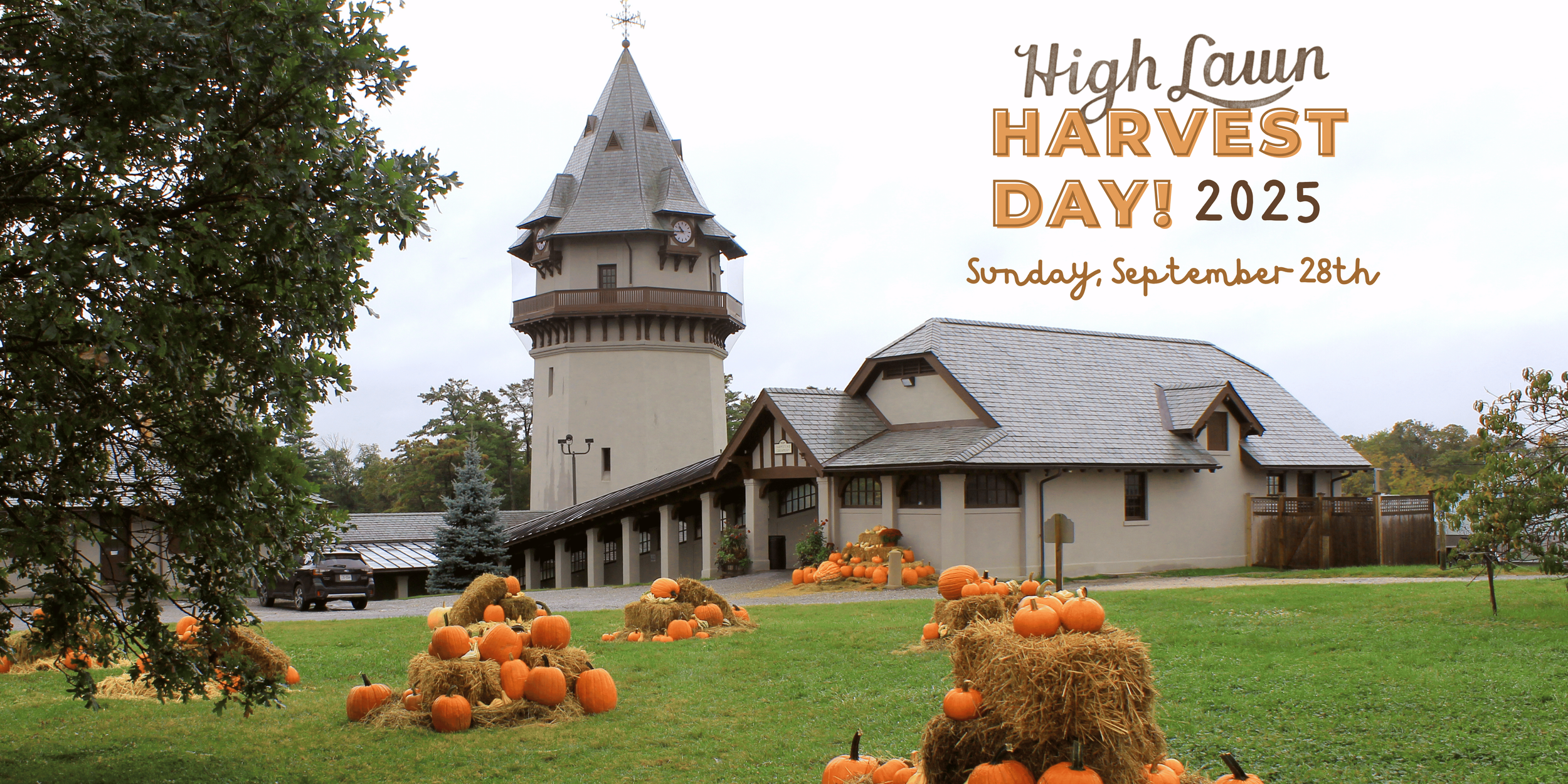 The Pumpkin Patch — High Lawn Farm