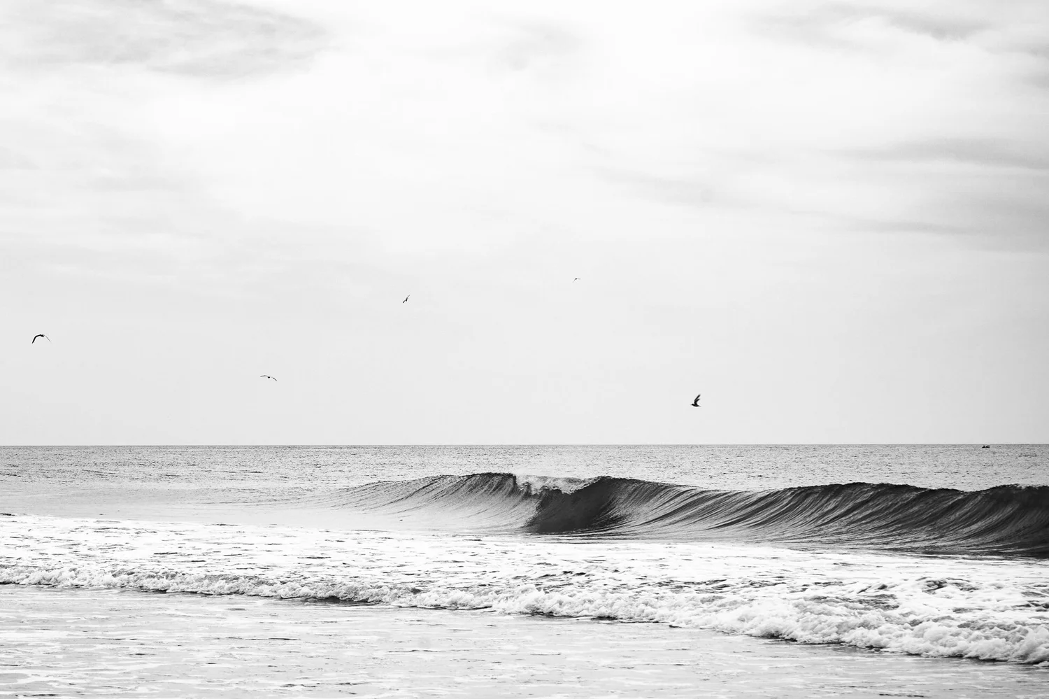 4 Ways to Use Movement in your Photographs — Jennifer Carr