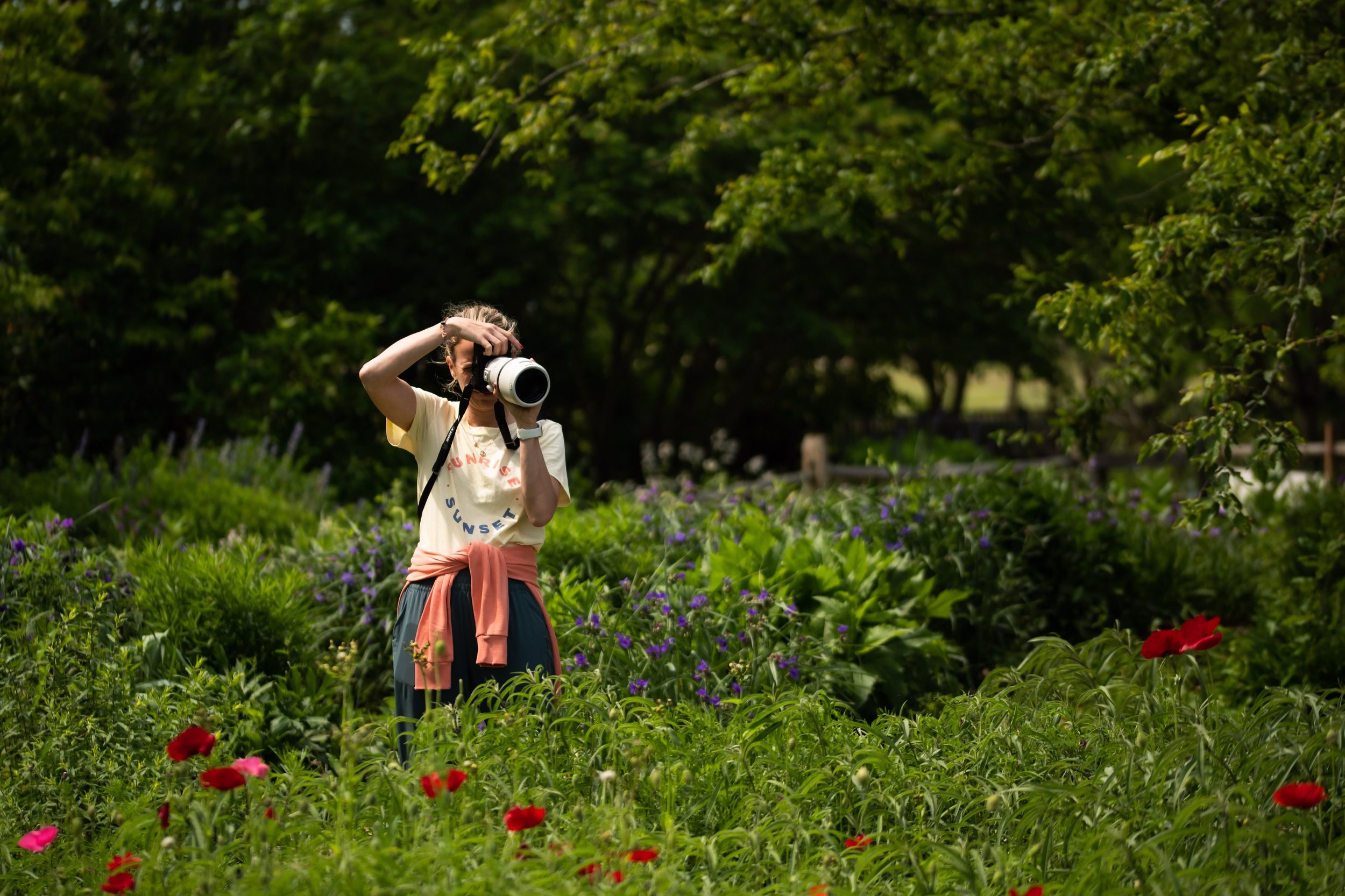 About Jennifer Carr — Jennifer Carr