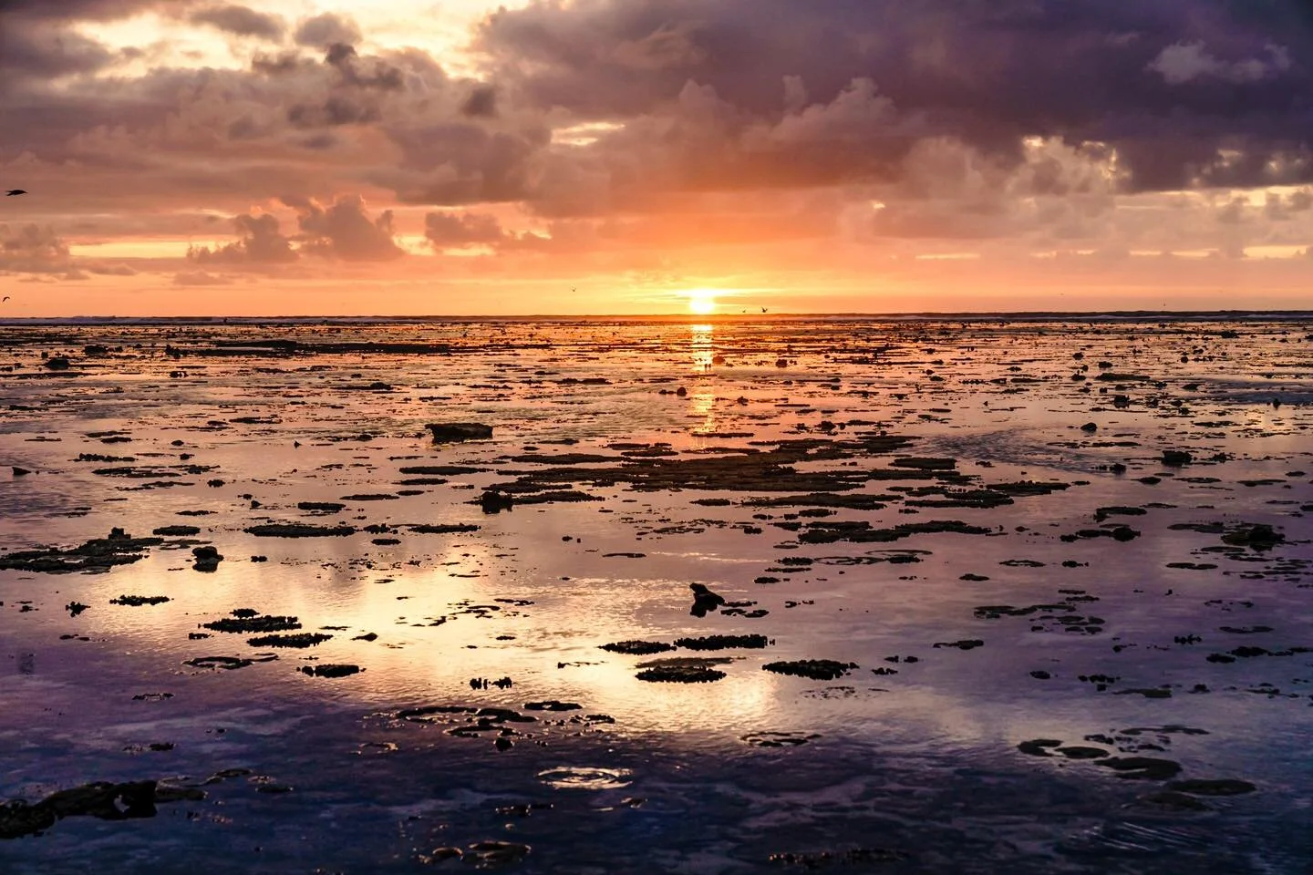 Jennifer Carr Photography