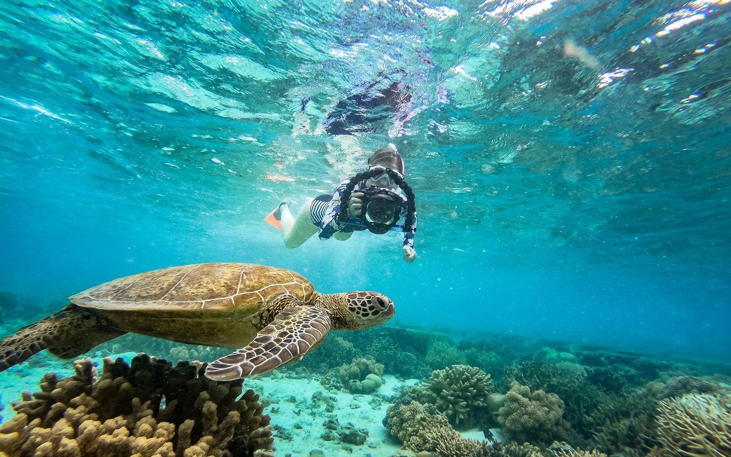 About Jennifer Carr — Jennifer Carr