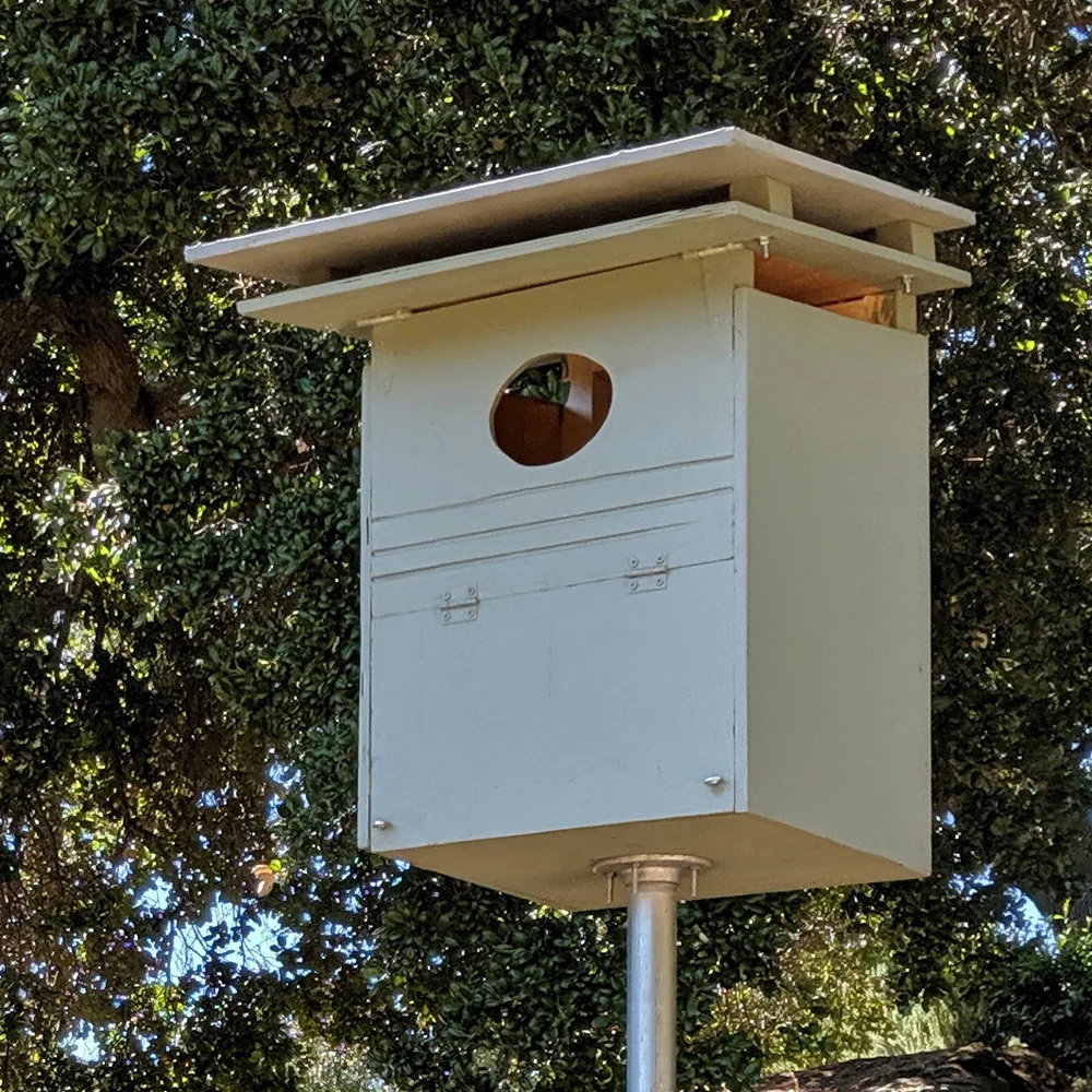 Hungry Owl Project