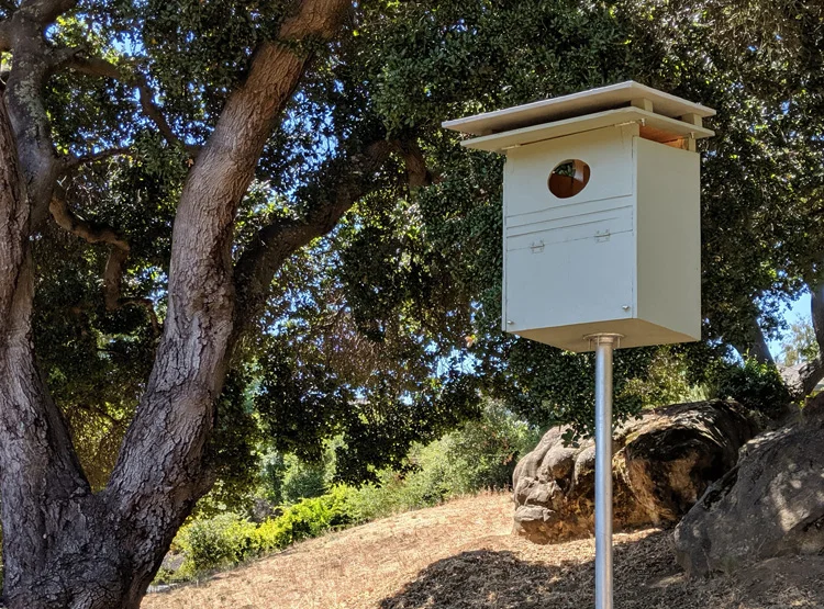 Barn Owl Boxes — Hungry Owl Project