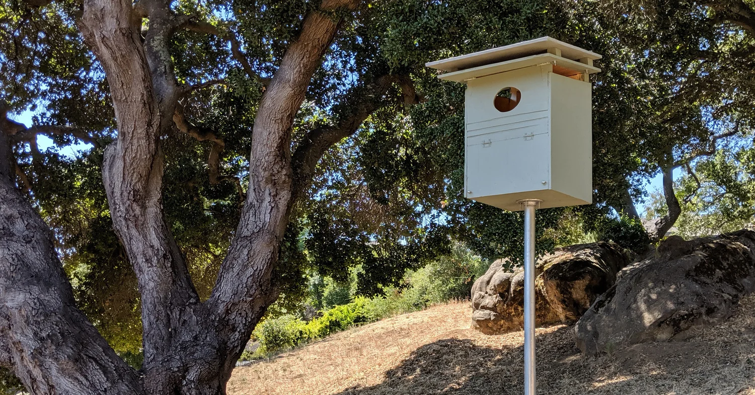 Installing Owl Boxes — Hungry Owl Project