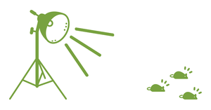 Nontoxic Rodent Control — Hungry Owl Project