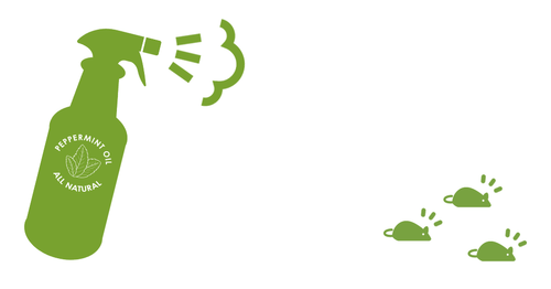 Nontoxic Rodent Control — Hungry Owl Project