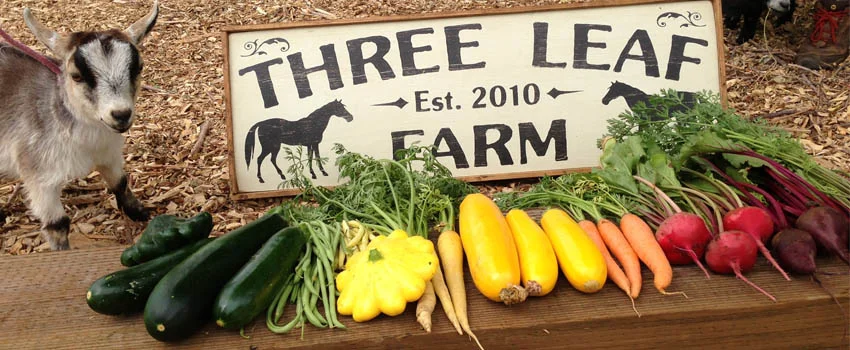 Three Leaf Farm