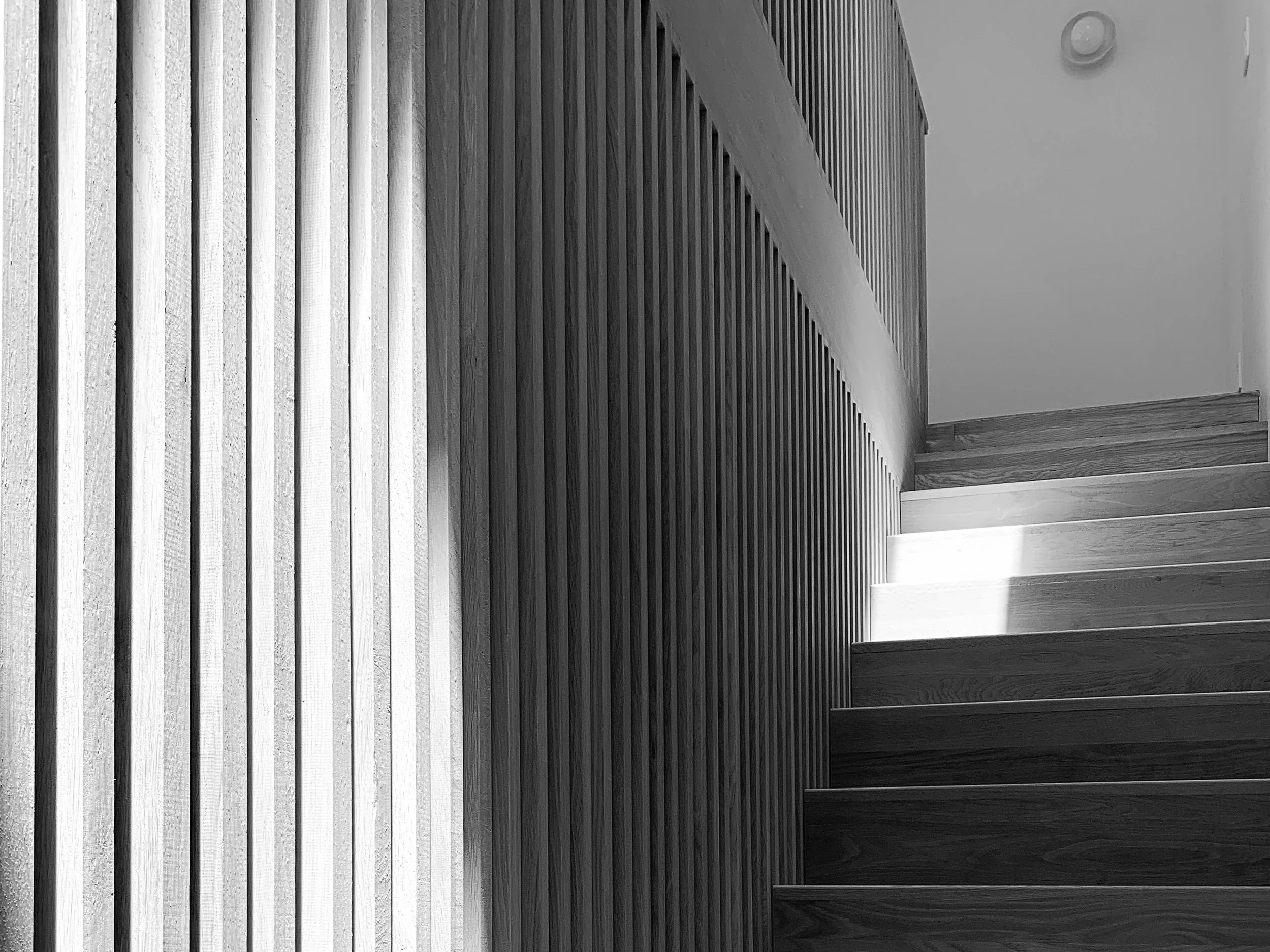 WORK — Social Studies Projects