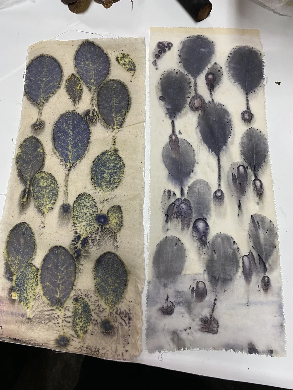 MYTHICAL CREATURES WITH THE PALE ROOK AND ELISABETH CULSHAW ...