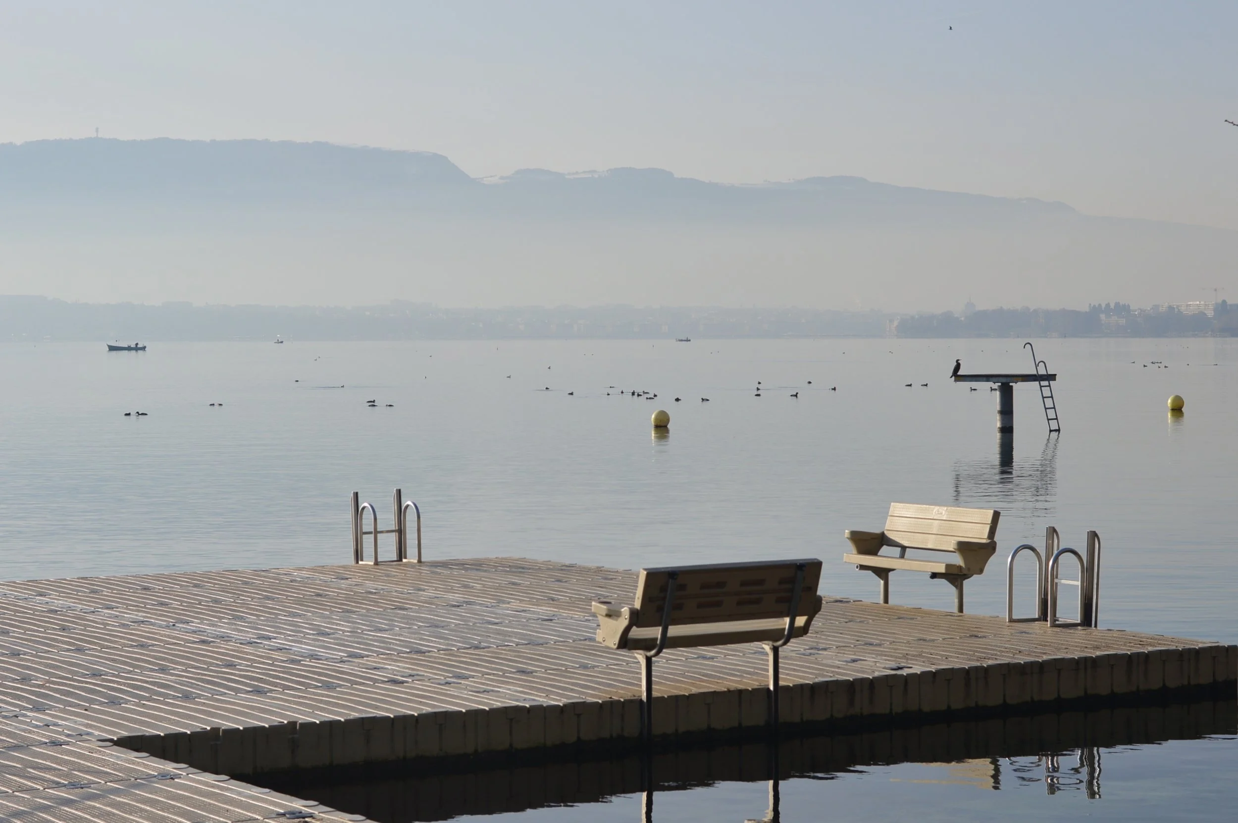 Parc Lullin, Genthod - Dog Park and Play Park combo — Toddler Tails