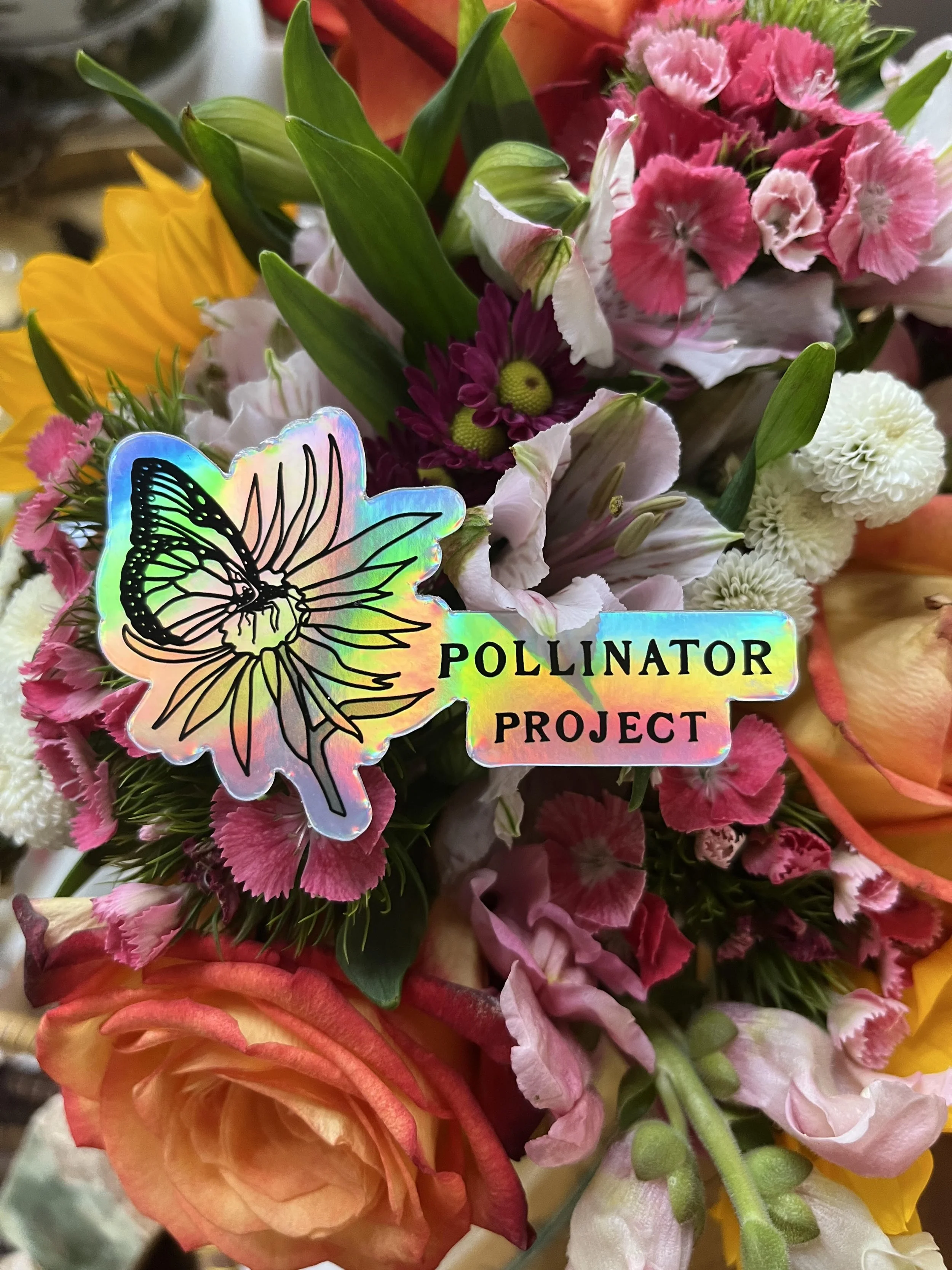 Pollinator Project