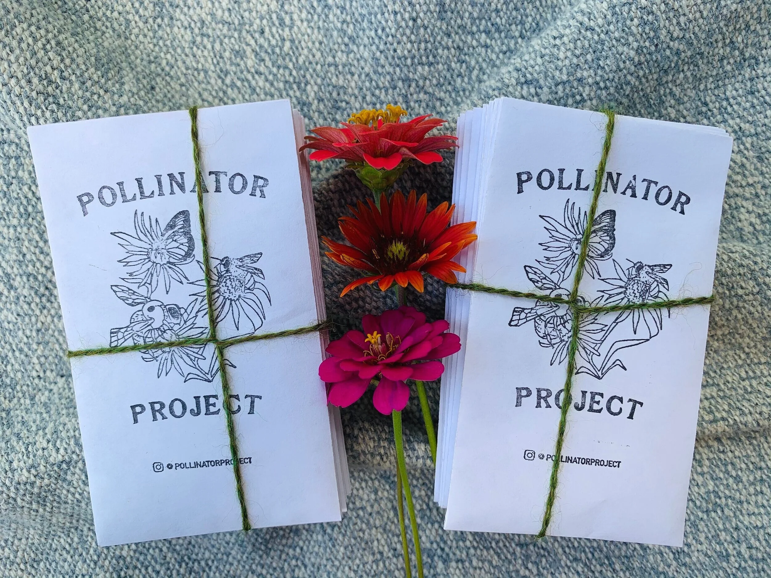 Pollinator Project