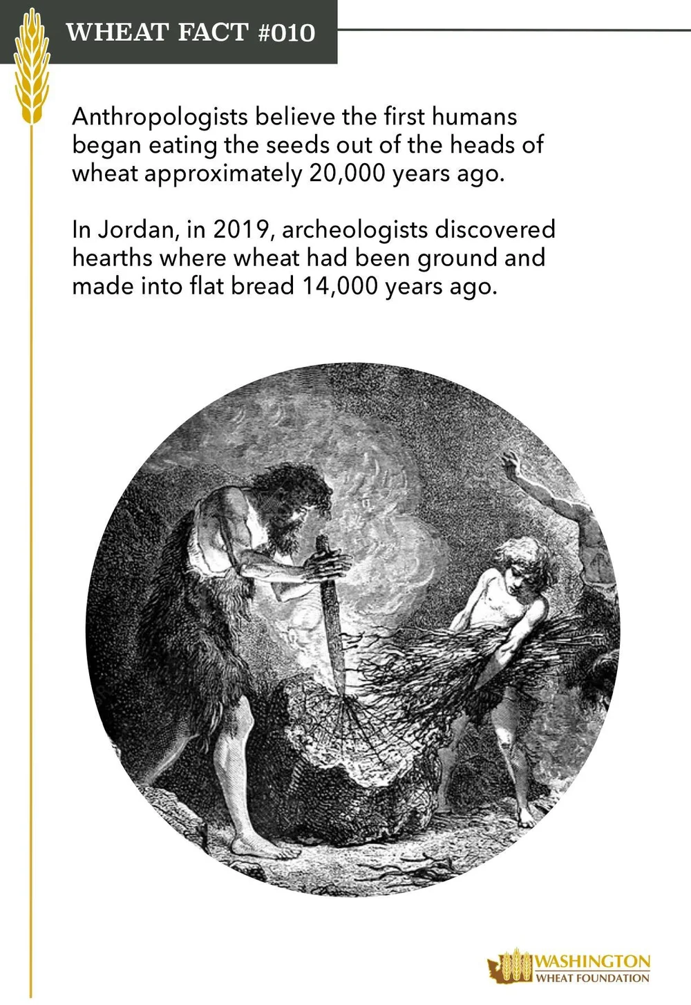 WHEAT FACTS — Washington Wheat Foundation