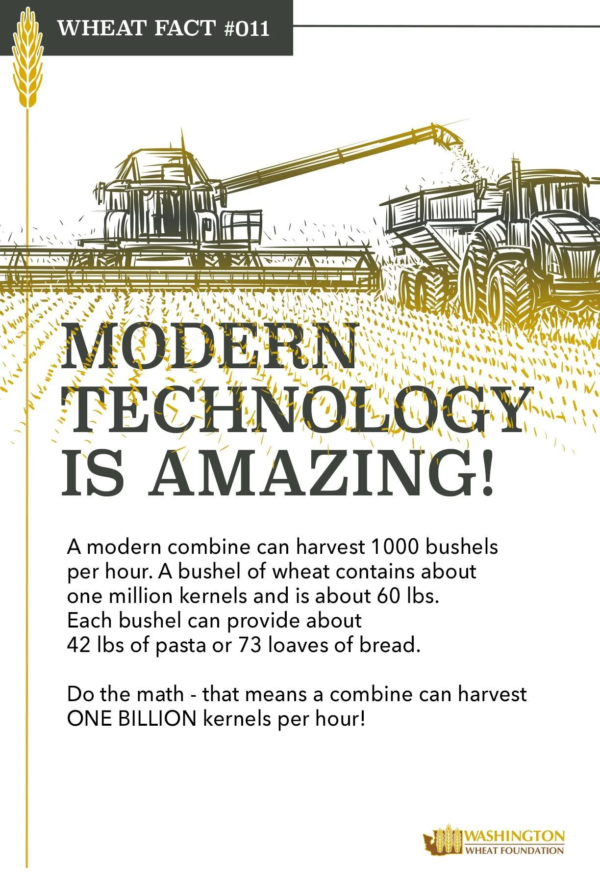 WHEAT FACTS — Washington Wheat Foundation