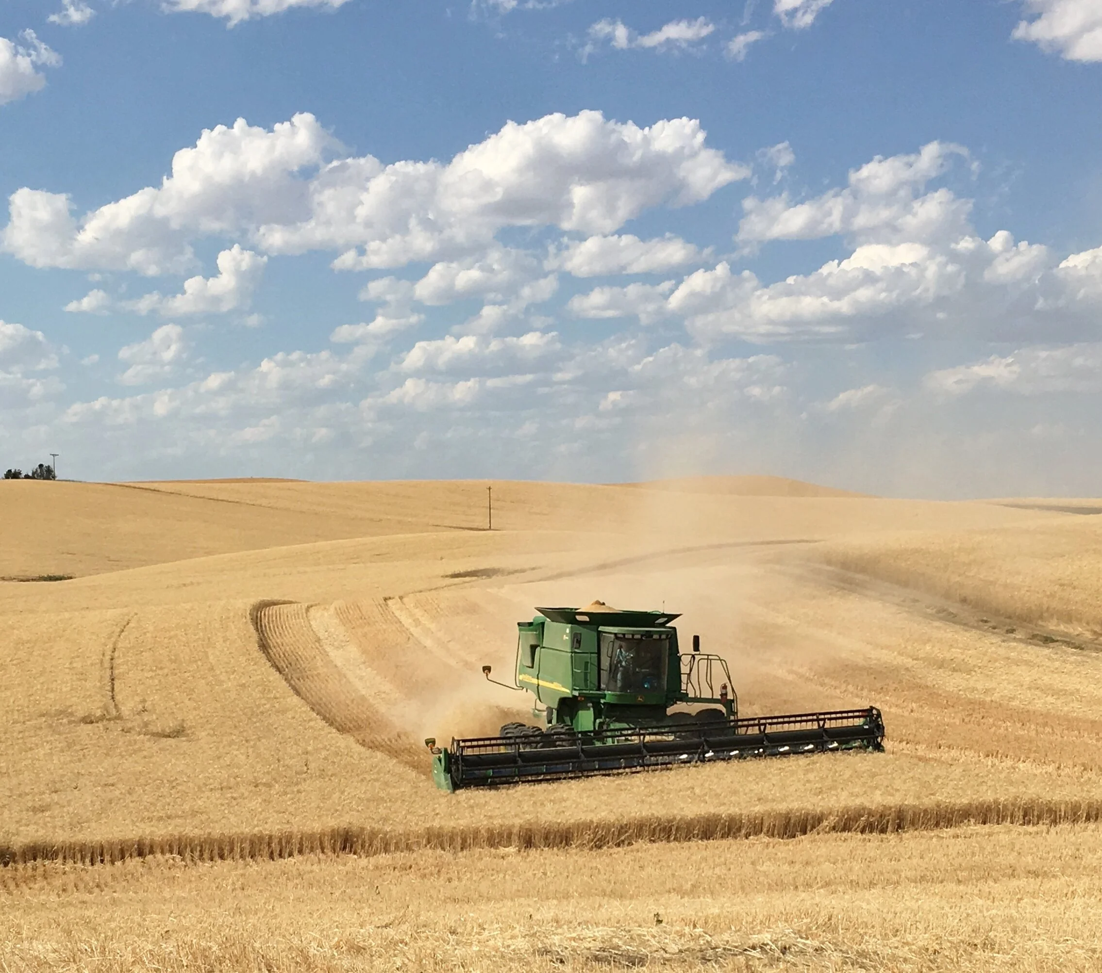 20 Reasons to Support Wheat Farmers — Washington Wheat Foundation
