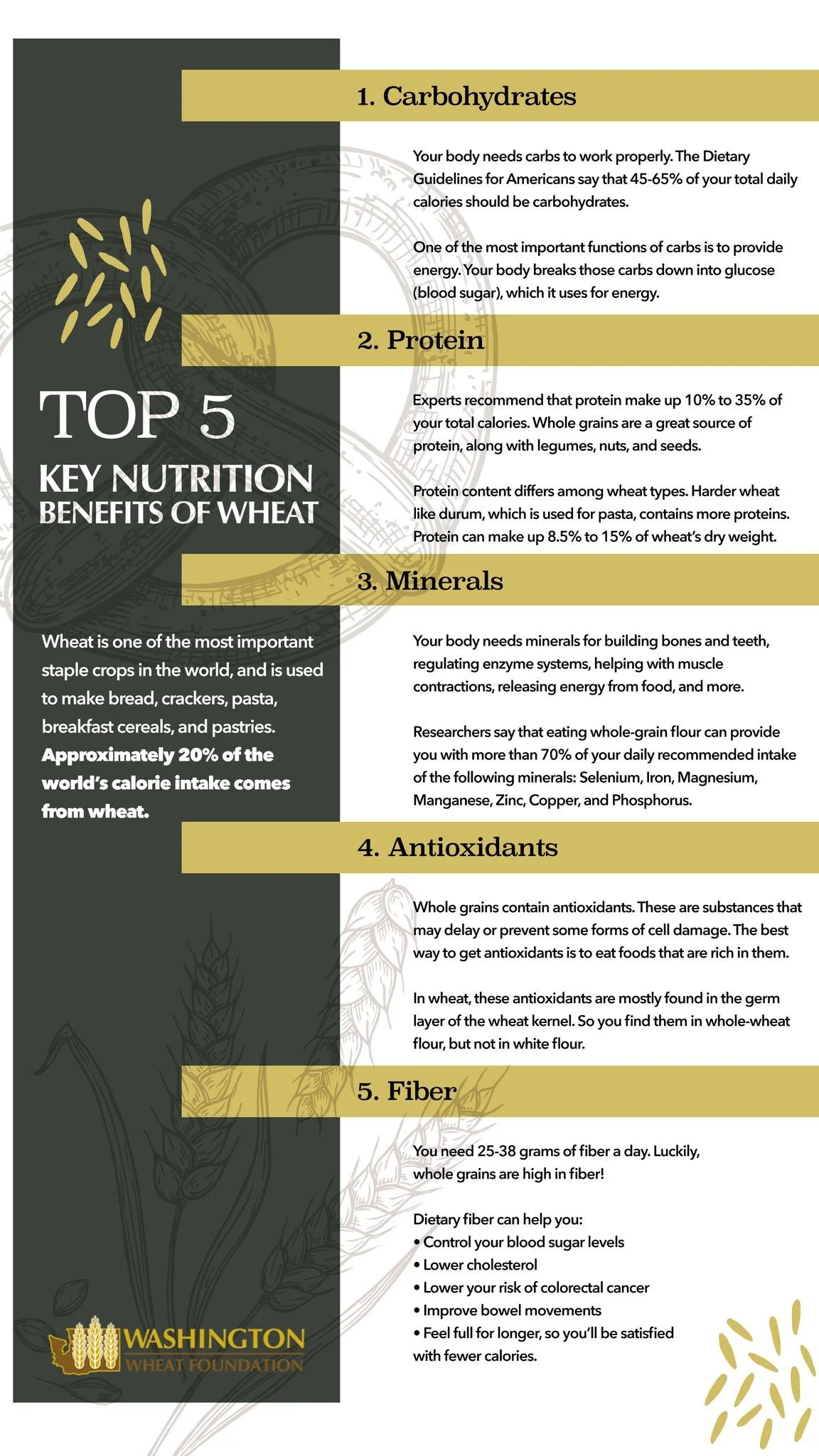 Nutrition — Washington Wheat Foundation