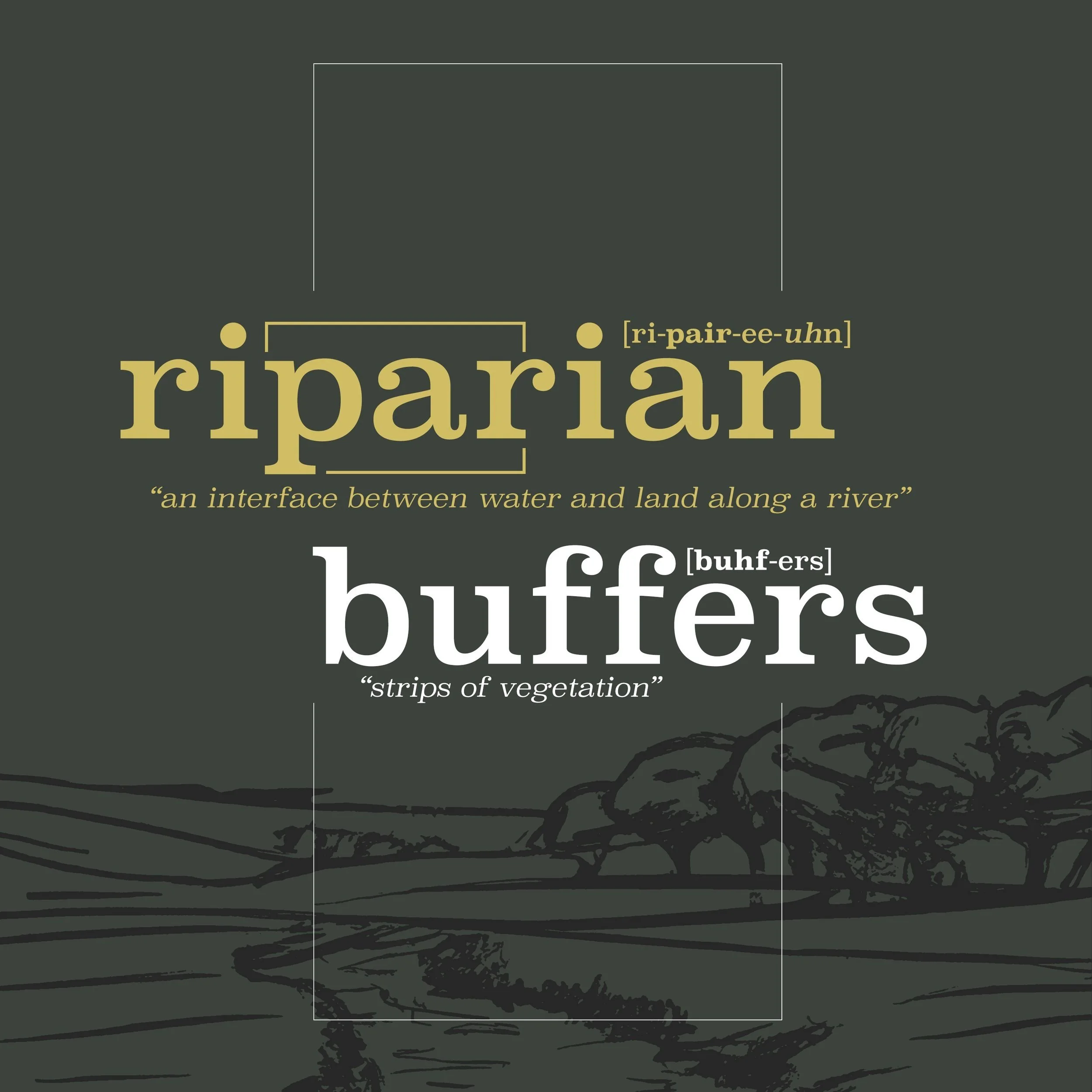 Riparian Buffers — Washington Wheat Foundation