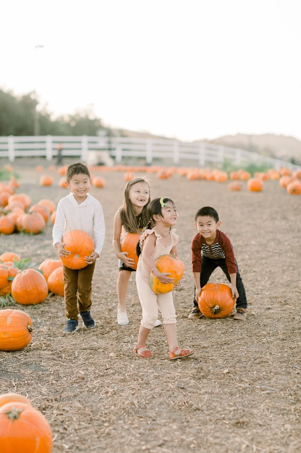 Pumpkin Patch Fun for Everyone — Hello Rascal Kids