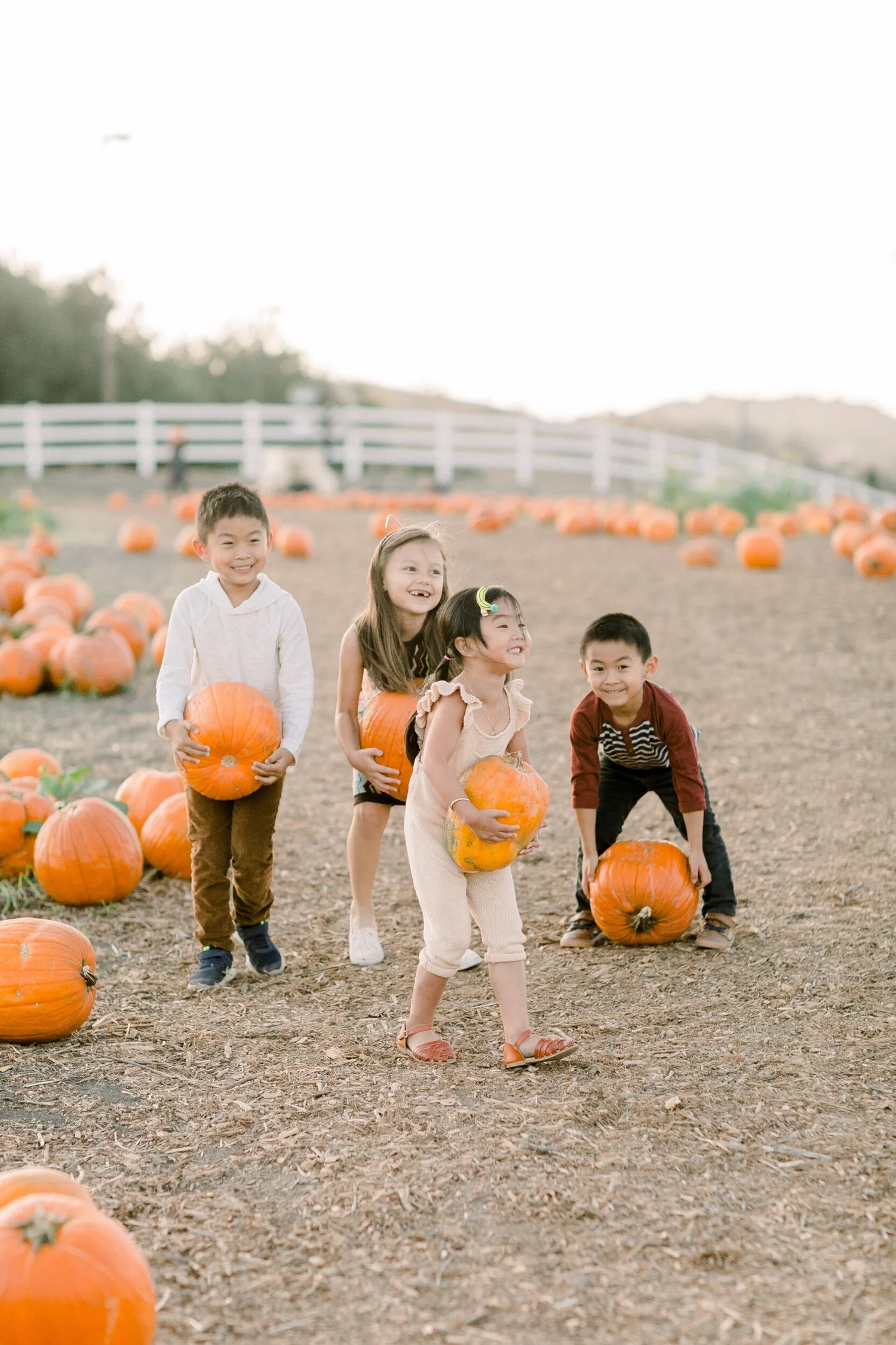 Pumpkin Patch Fun for Everyone — Hello Rascal Kids